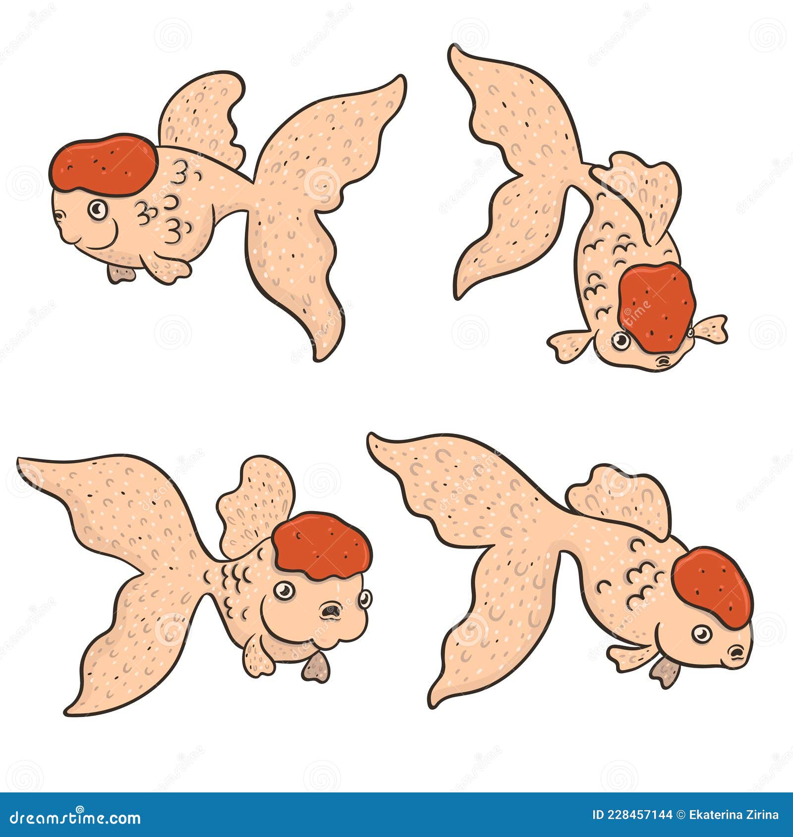 Cartoon Oranda Goldfish Swimming In Fishbowl Vector Illustration ...