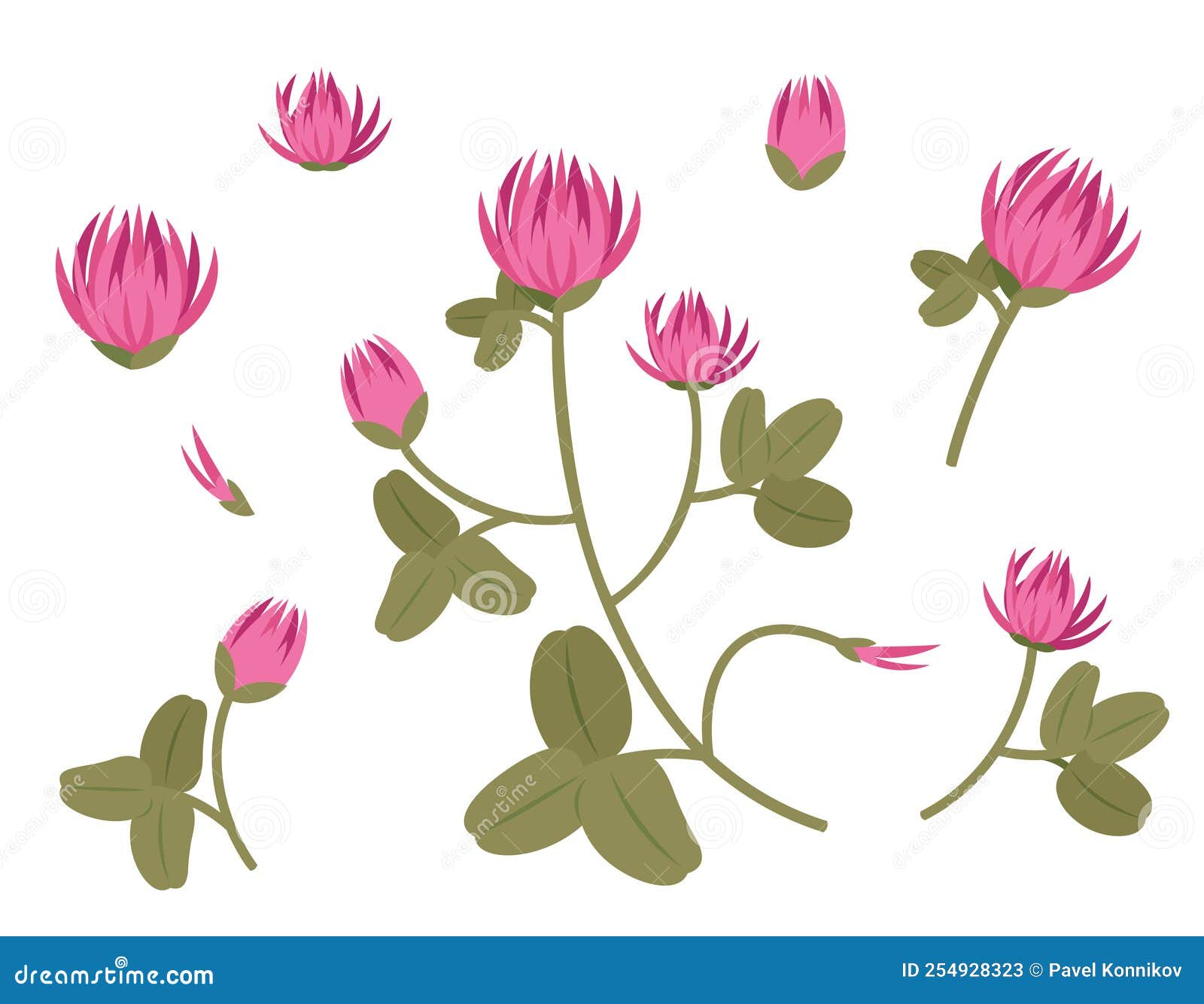 Set of Red Clover Design Elements. Stock Vector - Illustration of ...