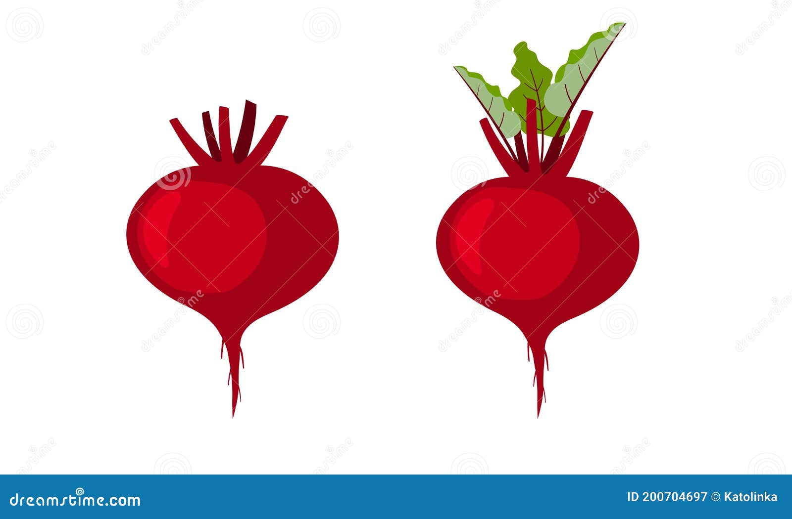 Set of Red Color Root Vegetable with Green Leaves. Beetroot ...