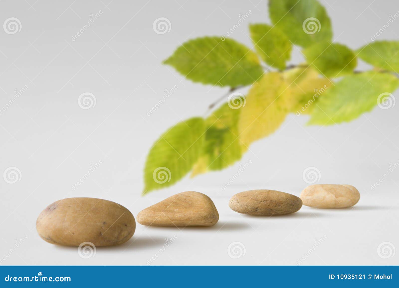 Set of Red Pebbles with Leaves Stock Image - Image of studio, relax ...