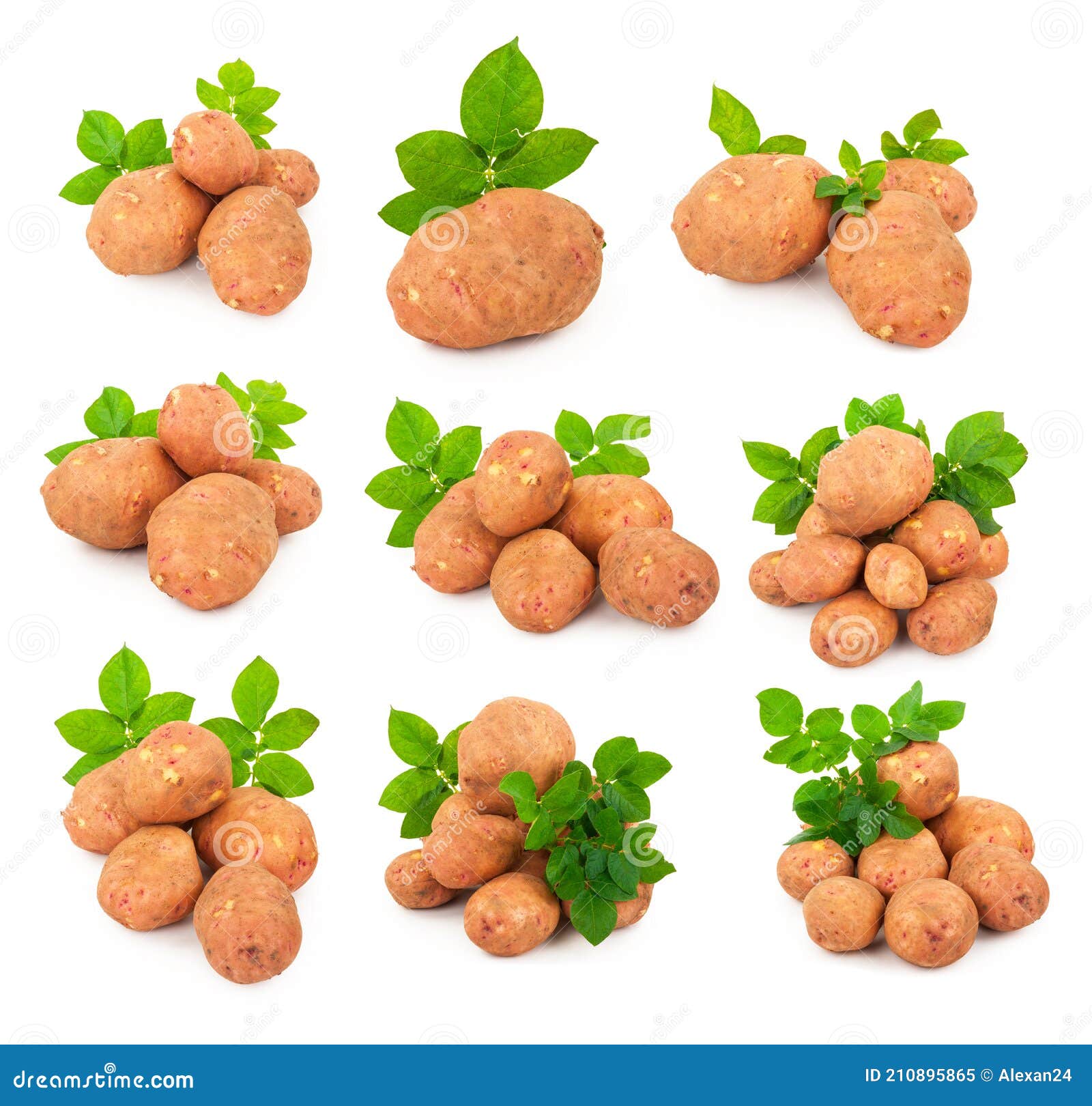 Set of Red Potatoes with Leaves on a White Stock Image - Image of ...