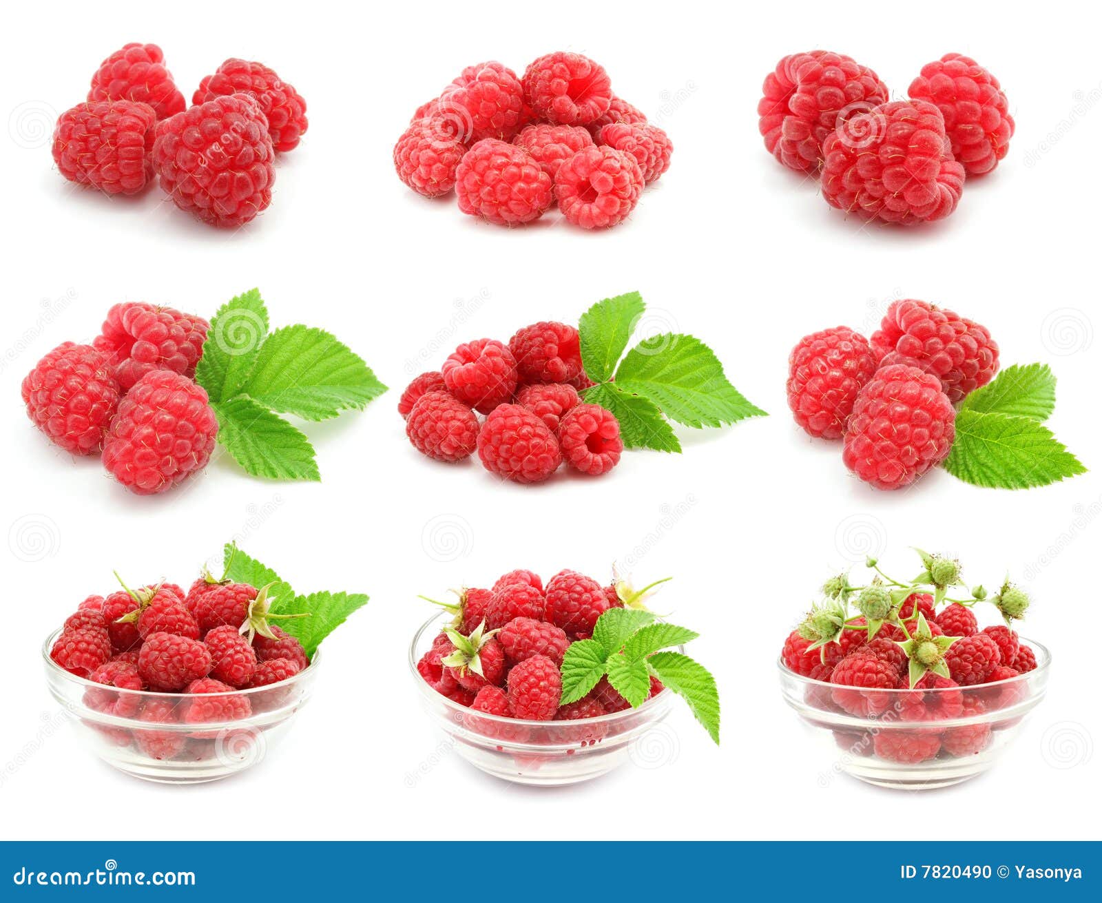 Set of Red Raspberry Fruits with Green Leafs Stock Photo - Image of ...