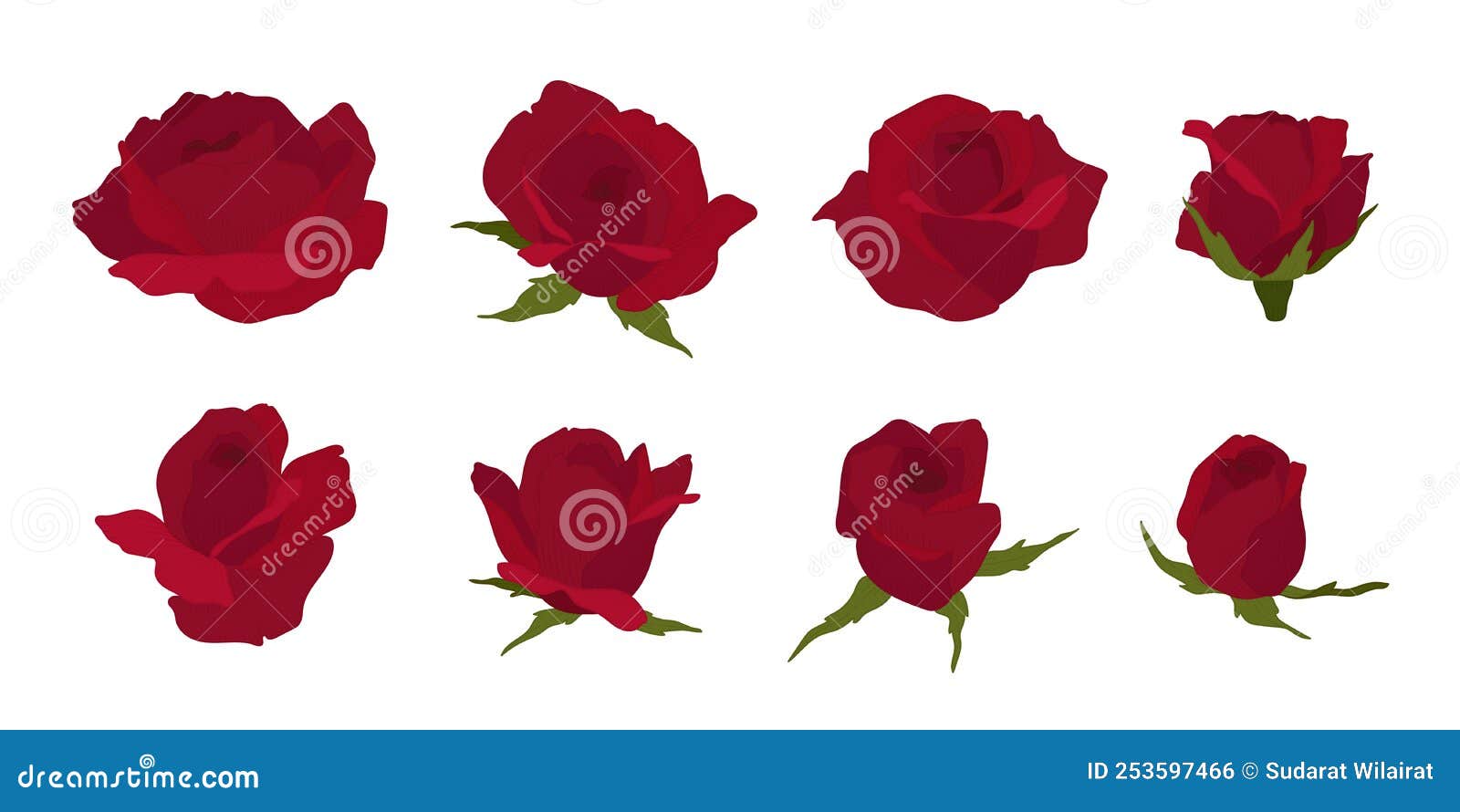 Set of Red Rose Blooming Flowers Illustration Stock Illustration ...