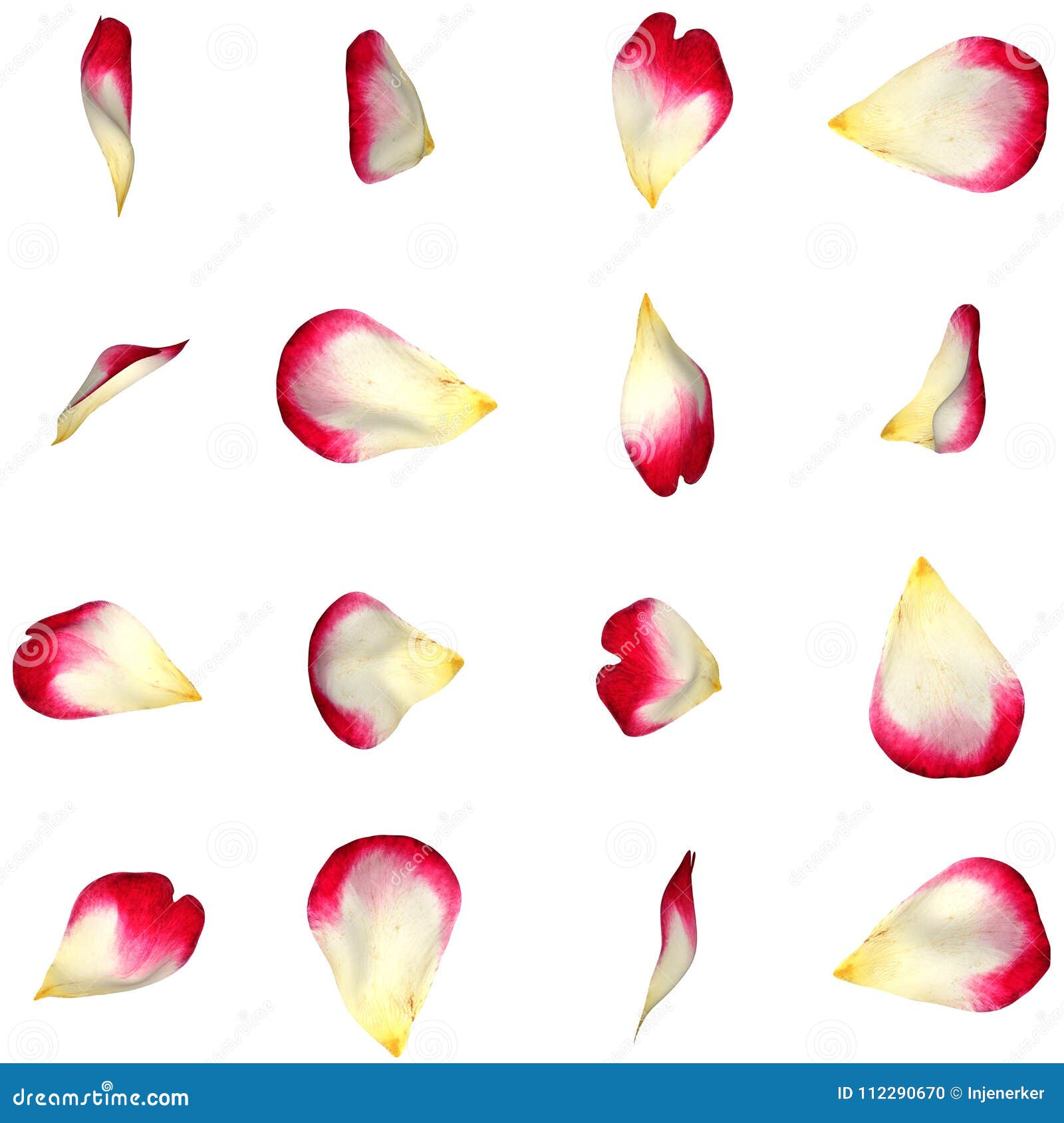 A Set of Red Rose Petals in Different Angles Stock Illustration ...