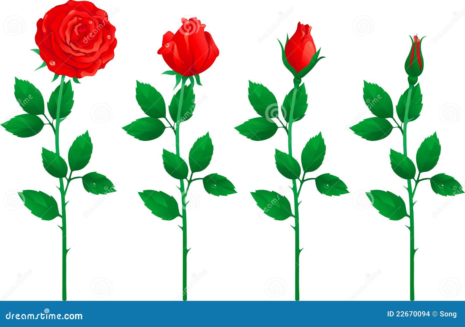 Set of red roses stock vector. Illustration of drop, element - 22670094