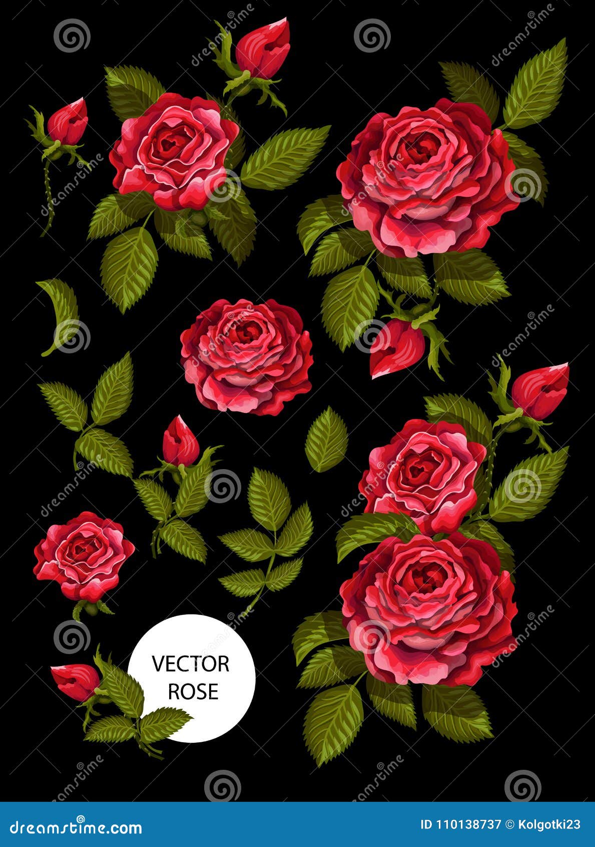 Set of Red Roses and Elements for Your Design. Vector Illustration ...