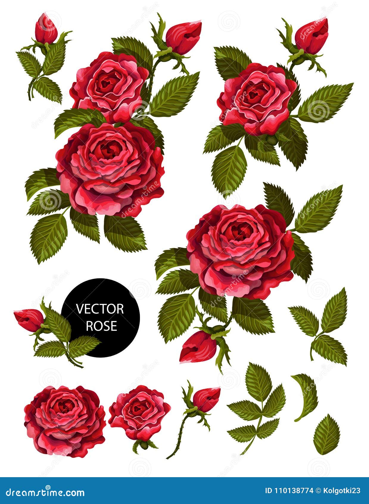 Set of Red Roses and Elements for Your Design. Vector Illustration ...