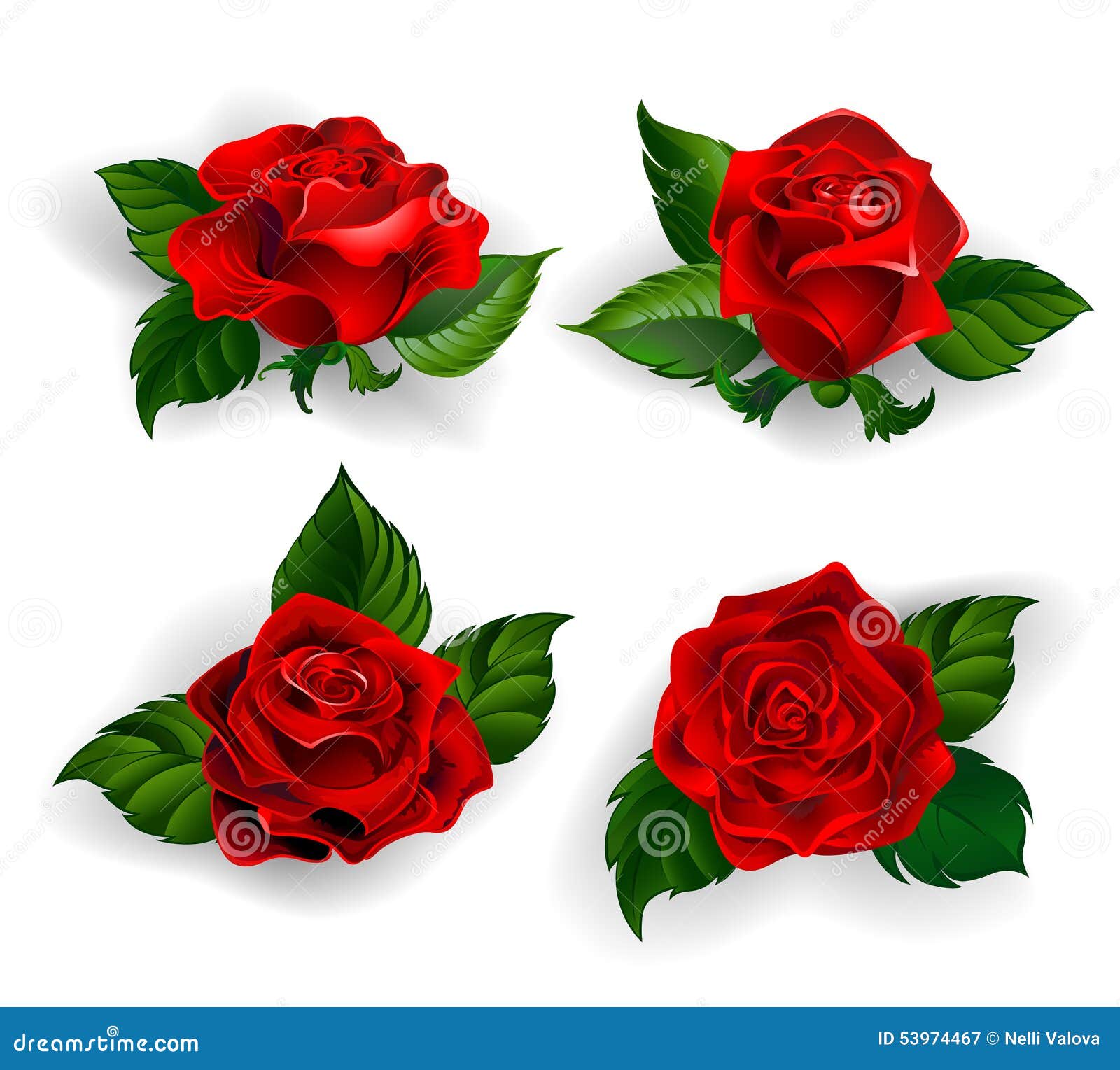 Beautiful Red Rose Clip Art