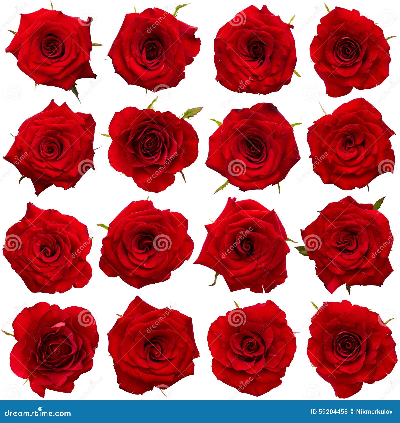 Set of red roses stock photo. Image of leaf, collage - 59204458