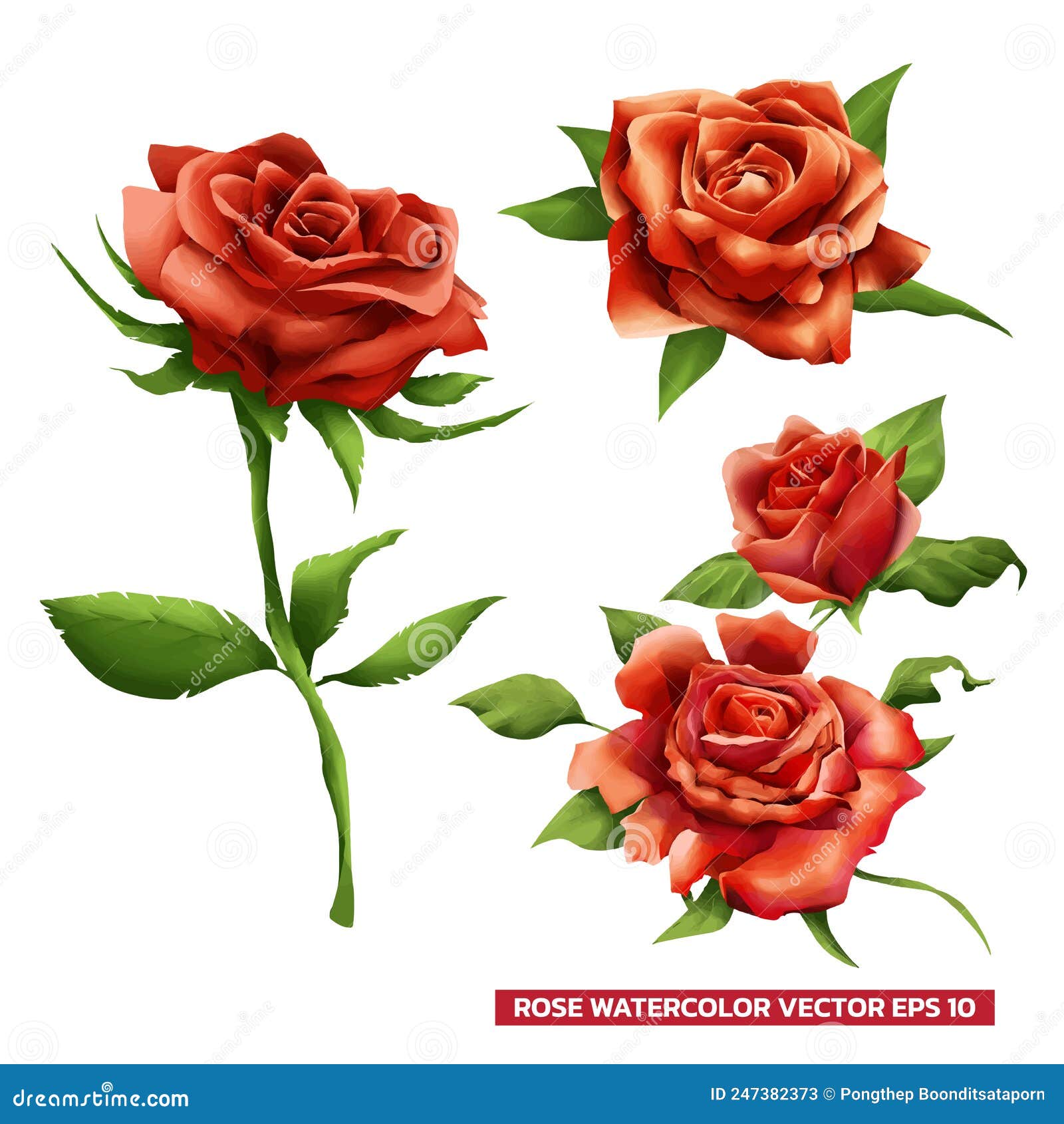 Set of Red Roses Watercolor Style Vector Illustration Stock Vector ...