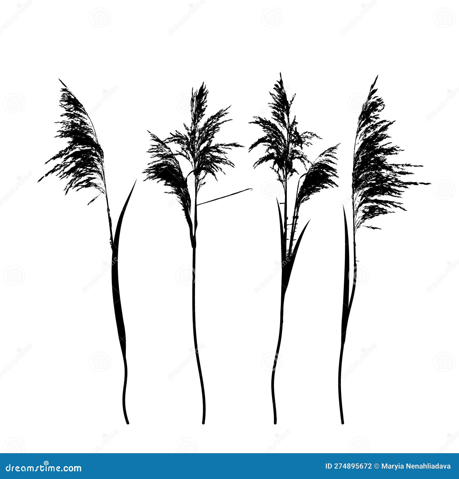 Set of Reeds Silhouette Objects. Vector Illustration Stock Vector ...