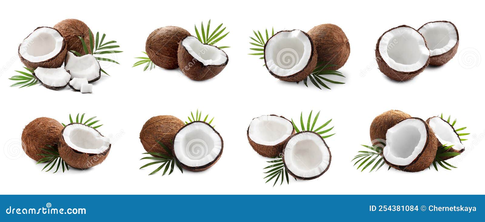 Set of Ripe Coconuts and Green Leaves on White Background. Banner ...