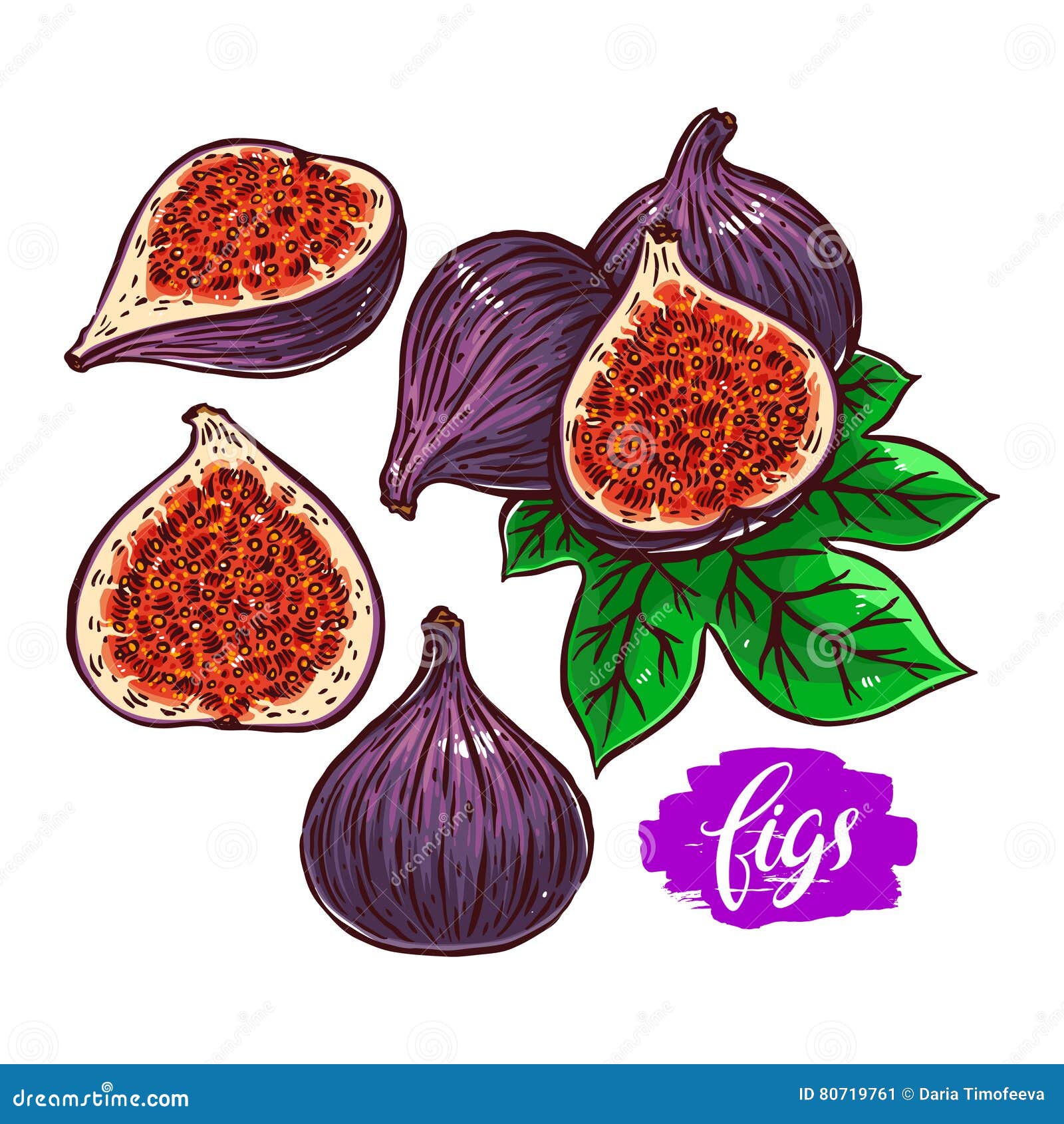 Set of ripe figs stock vector. Illustration of fresh - 80719761