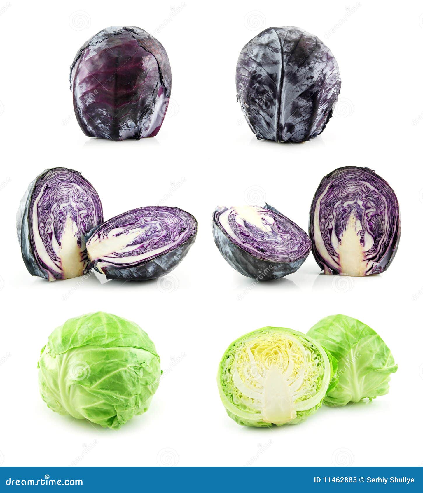 Blue Cabbage ( Blaukraut) In Rows Growing In The Field. Pattern. S ...