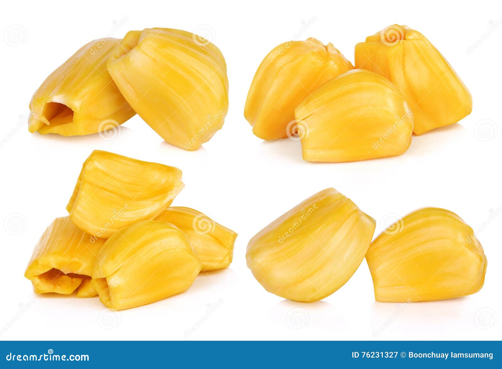 Set of Ripe Jackfruit Isolated on White Stock Image - Image of ...
