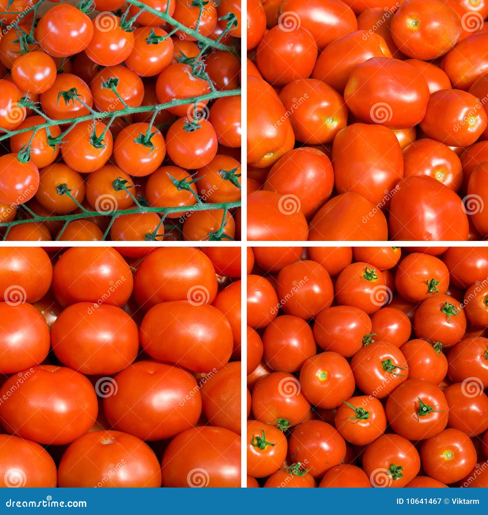 18,835 Tomato Backgrounds Photos - Free & Royalty-Free Stock Photos ...