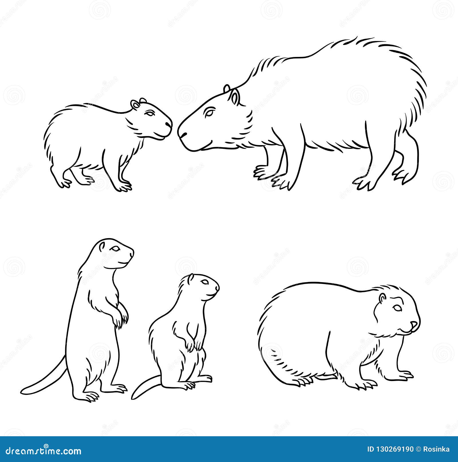 Set #2 of Rodents in Contours - Vector Illustration Stock Vector ...