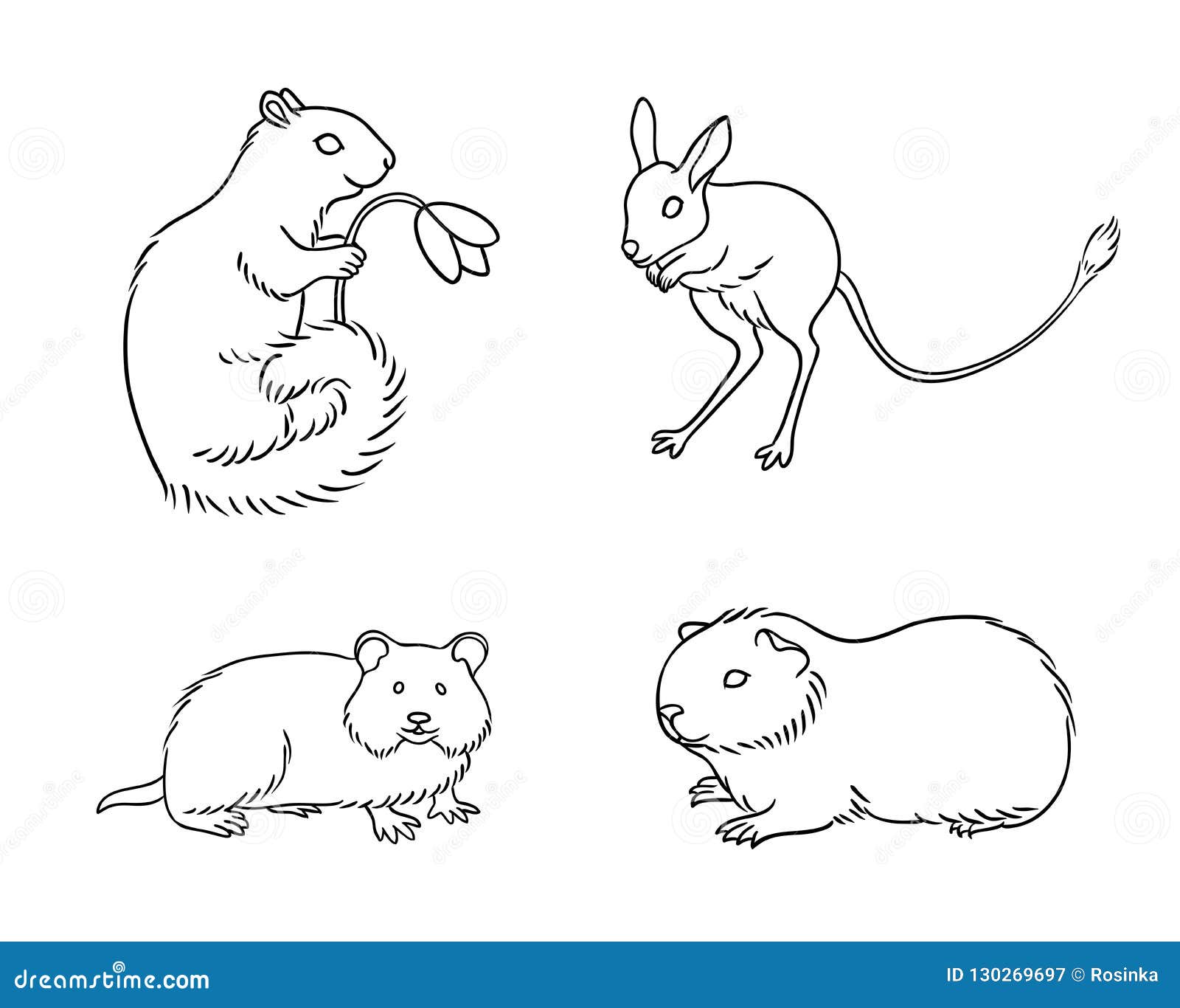 Set #1 of Rodents in Contours - Vector Illustration Stock Vector ...