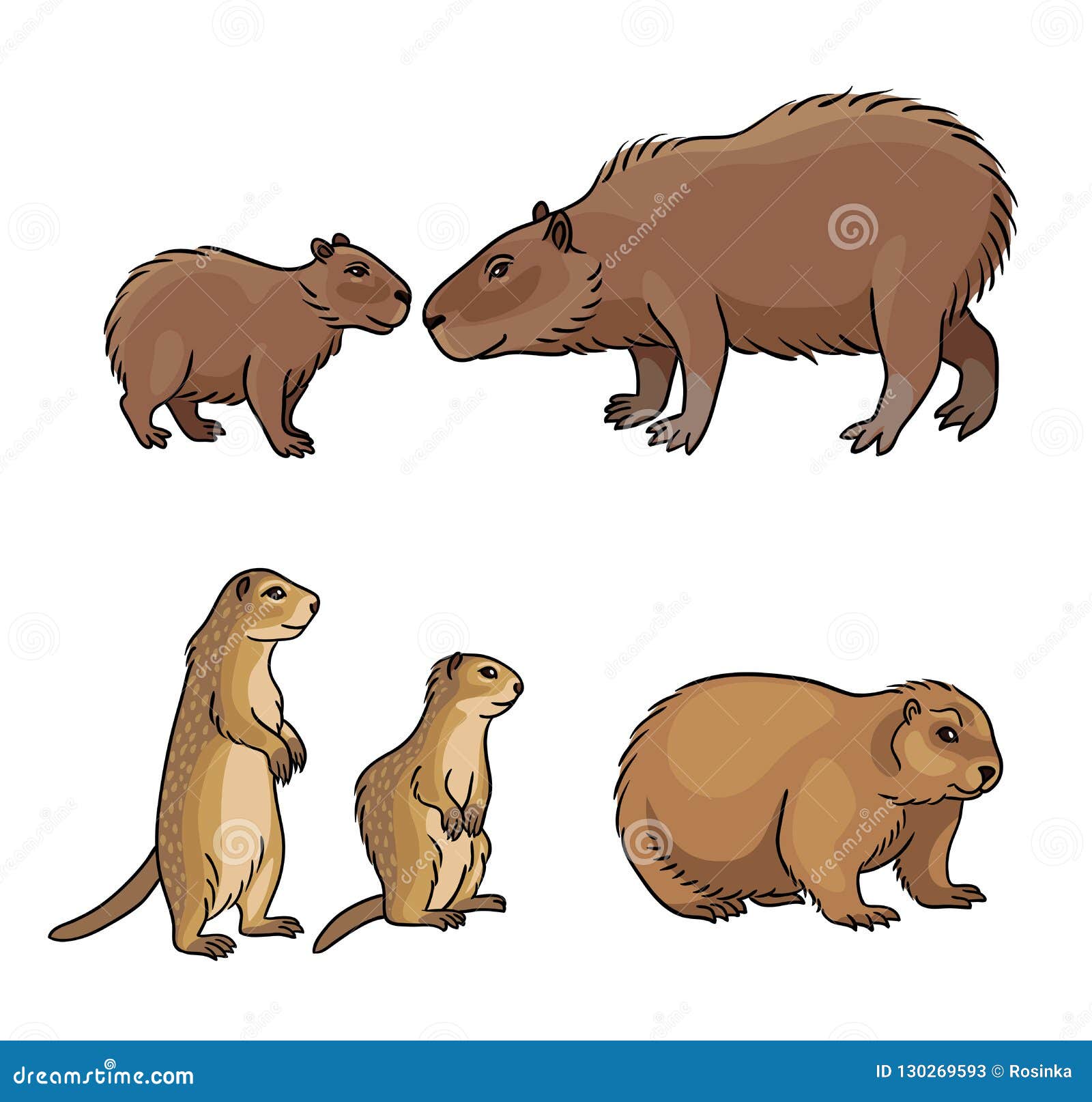 Set #2 of Rodents - Vector Illustration Stock Vector - Illustration of ...