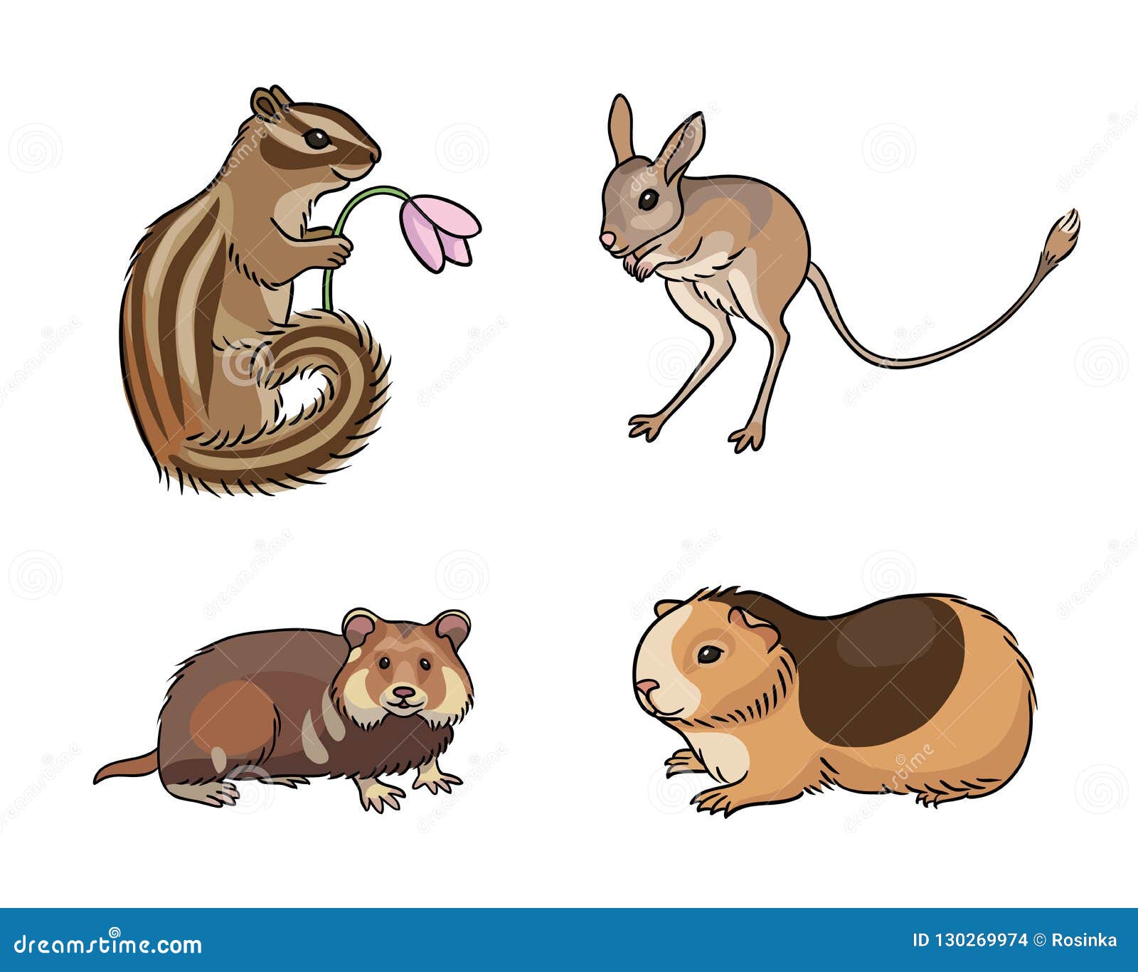 Set #1 of Rodents - Vector Illustration Stock Vector - Illustration of ...