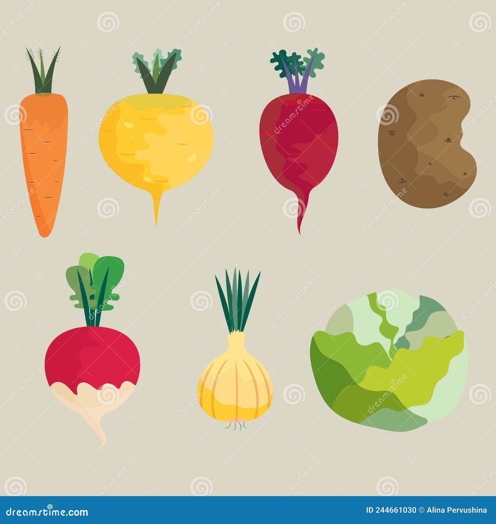 A Set of Root Vegetables from the Garden Stock Vector - Illustration of ...