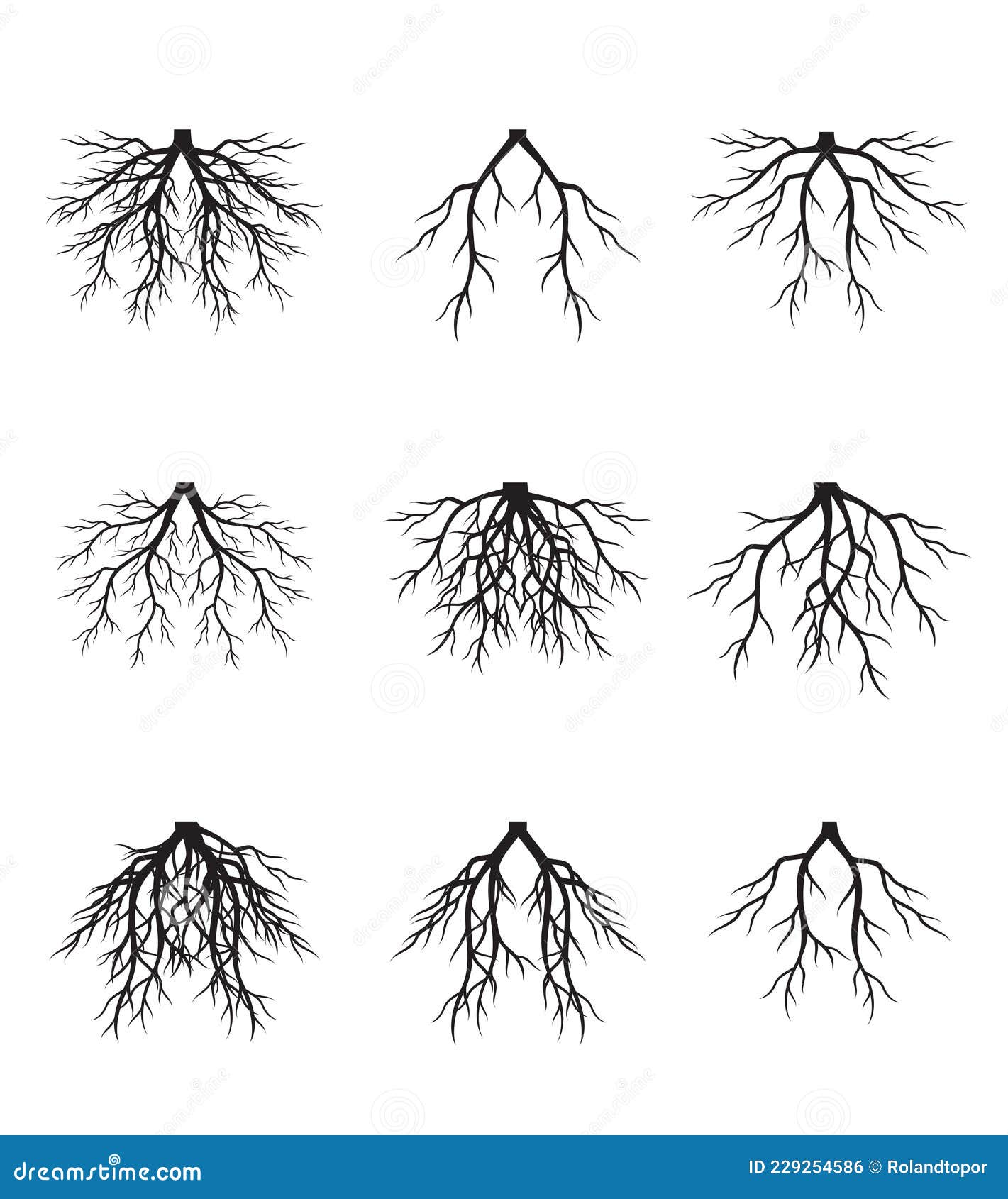 Set of Roots. Vector Outline Illustration. Plant in Garden Stock Vector ...