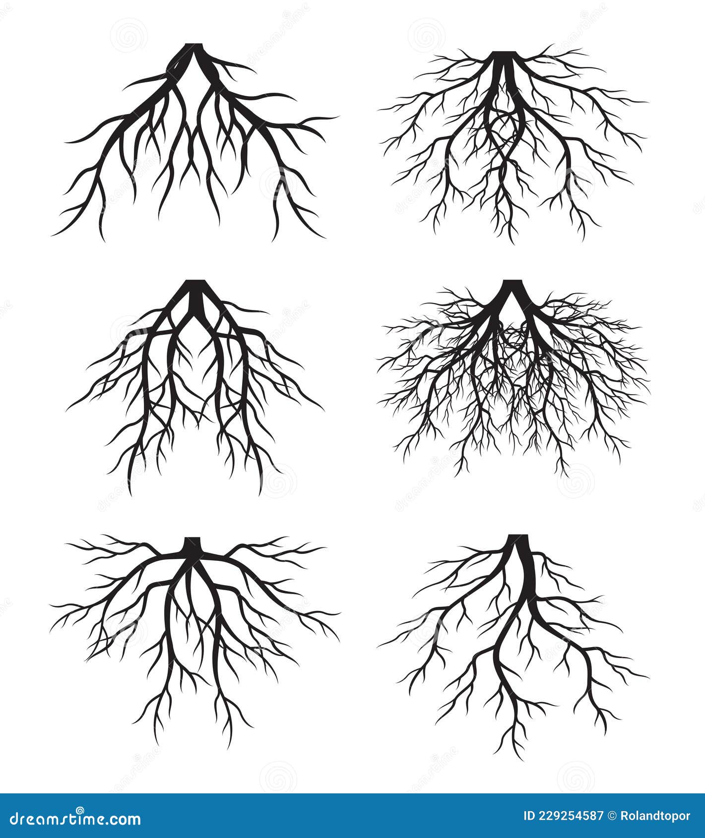 Set of Roots. Vector Outline Illustration. Plant in Garden Stock Vector ...