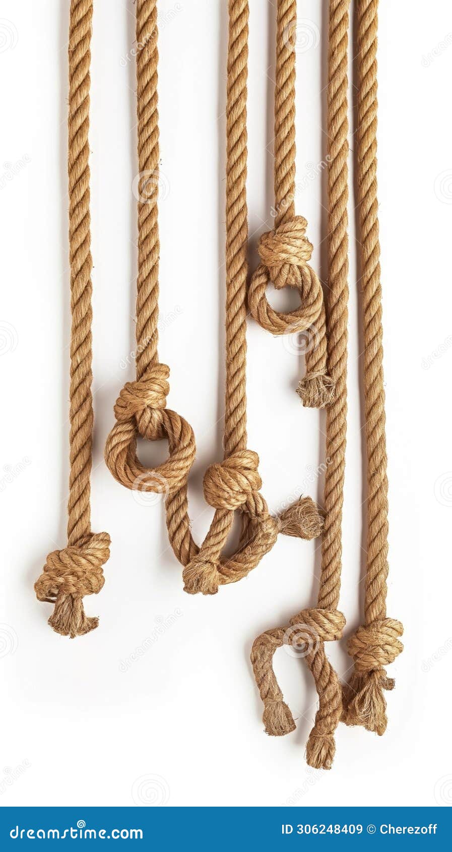 A Set of Ropes of Different Thicknesses with Different Knots Stock ...