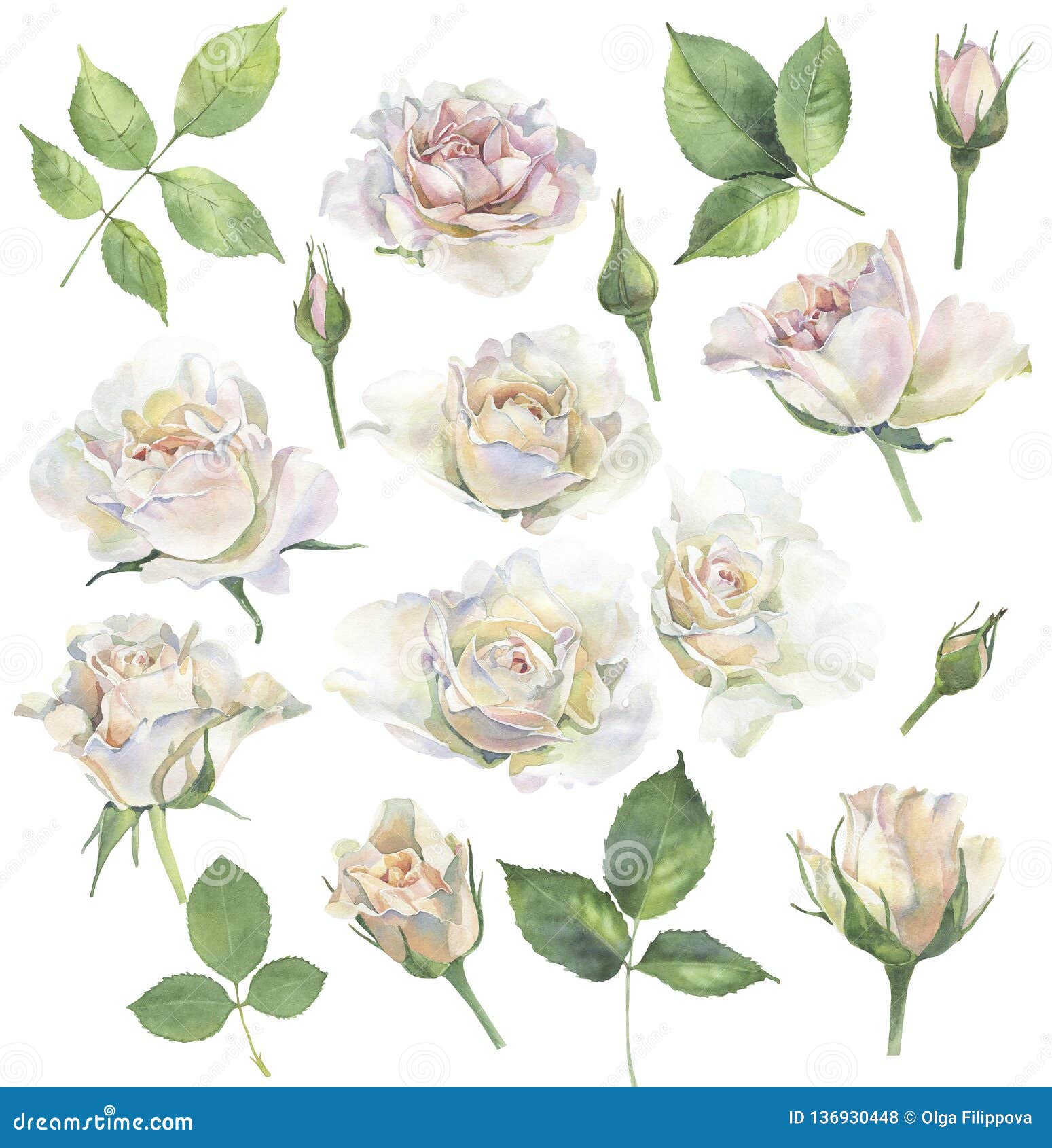 A Set of Roses for Congratulations Stock Illustration - Illustration of ...