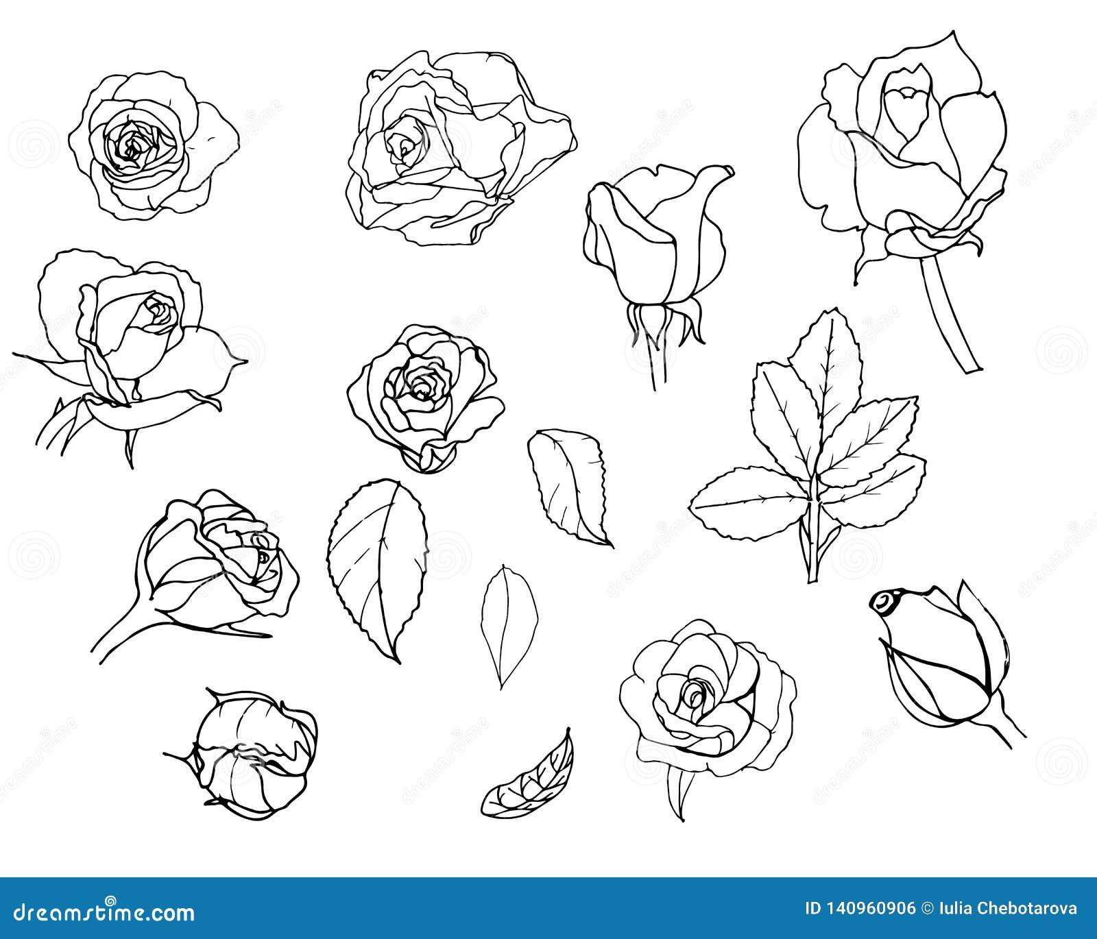 Set of roses. Sketch stock vector. Illustration of invitation - 140960906