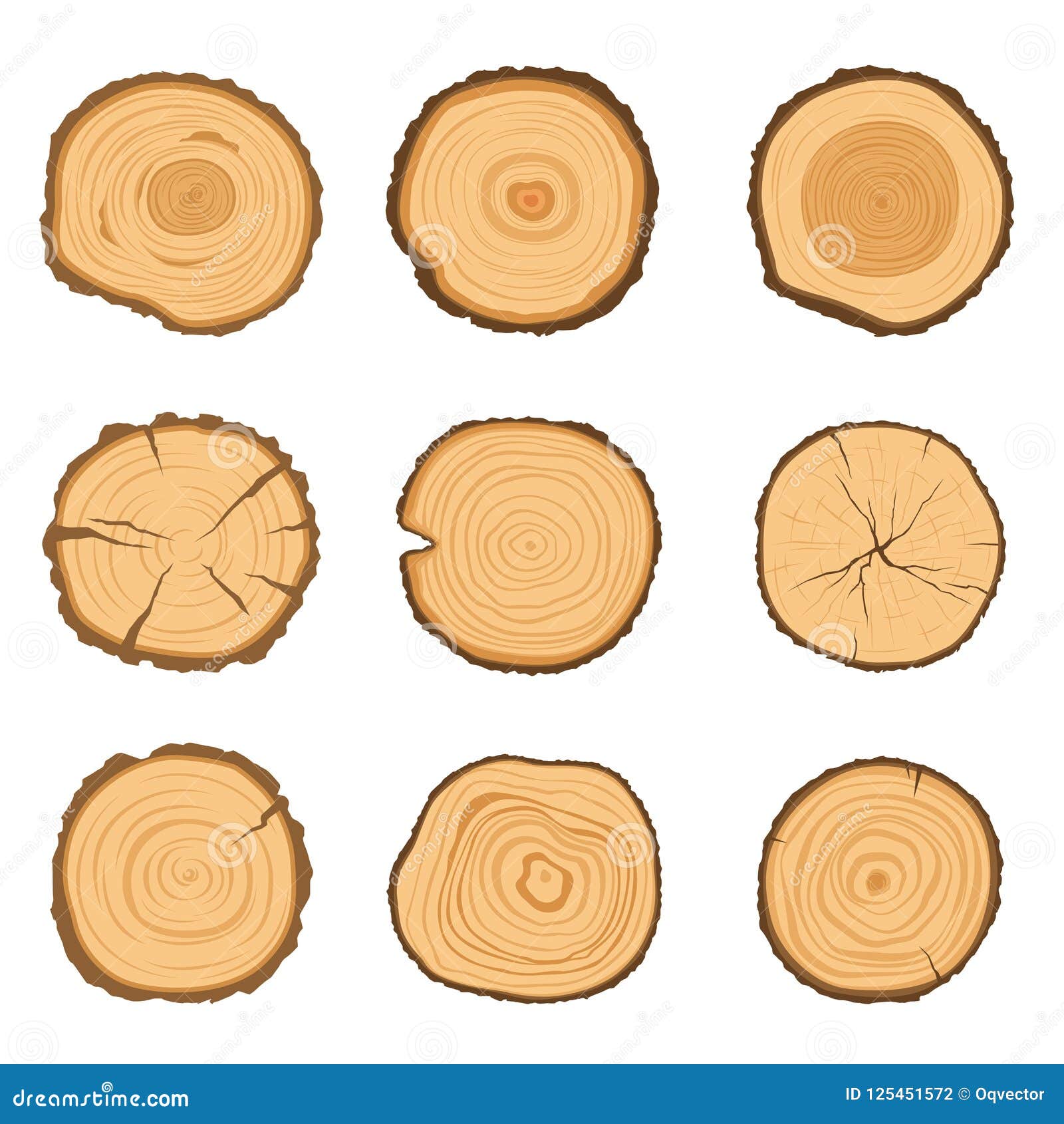 Cross Sections Stock Illustrations – 326 Cross Sections Stock ...