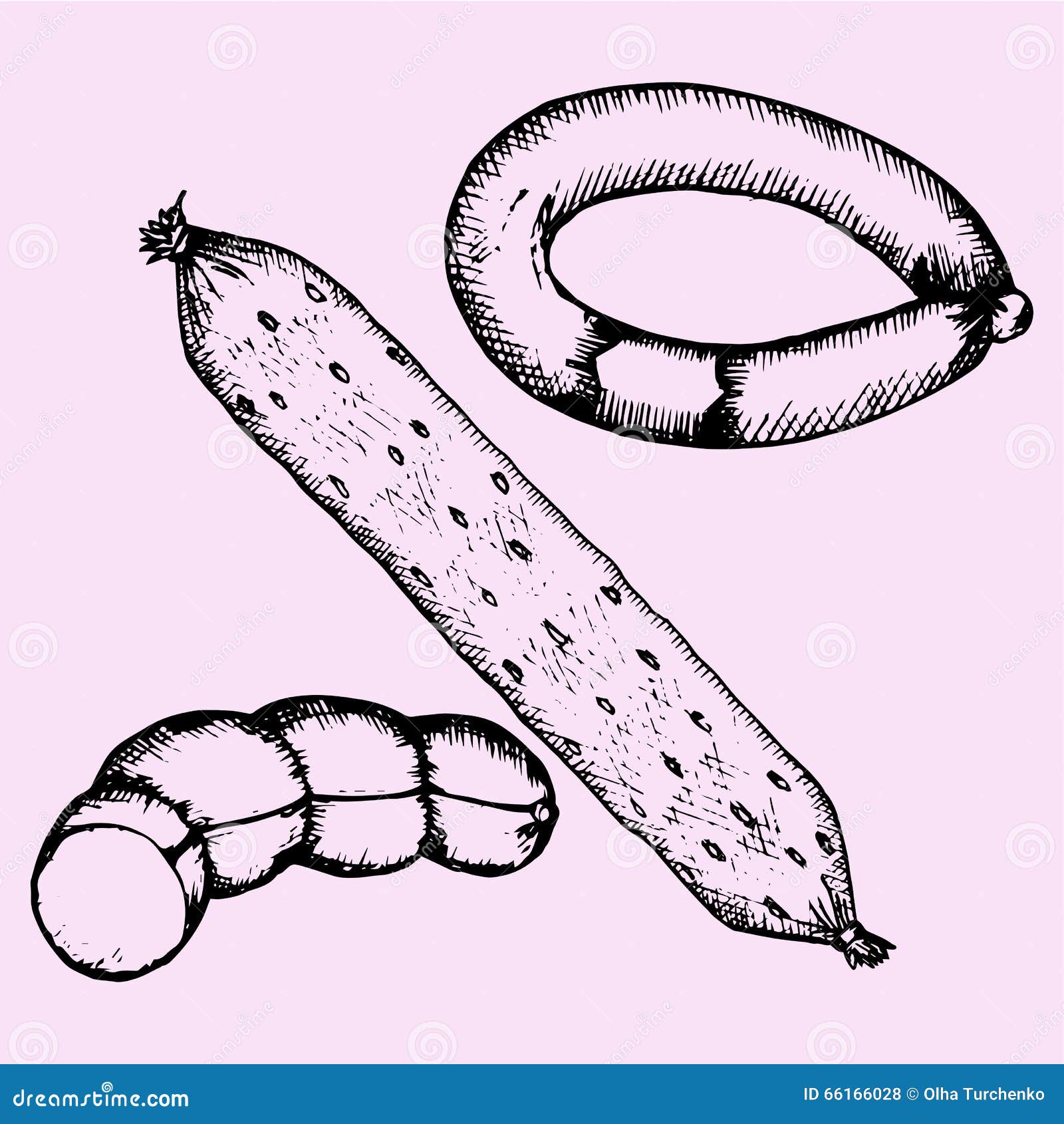 Set of sausage stock vector. Illustration of cuisine - 66166028