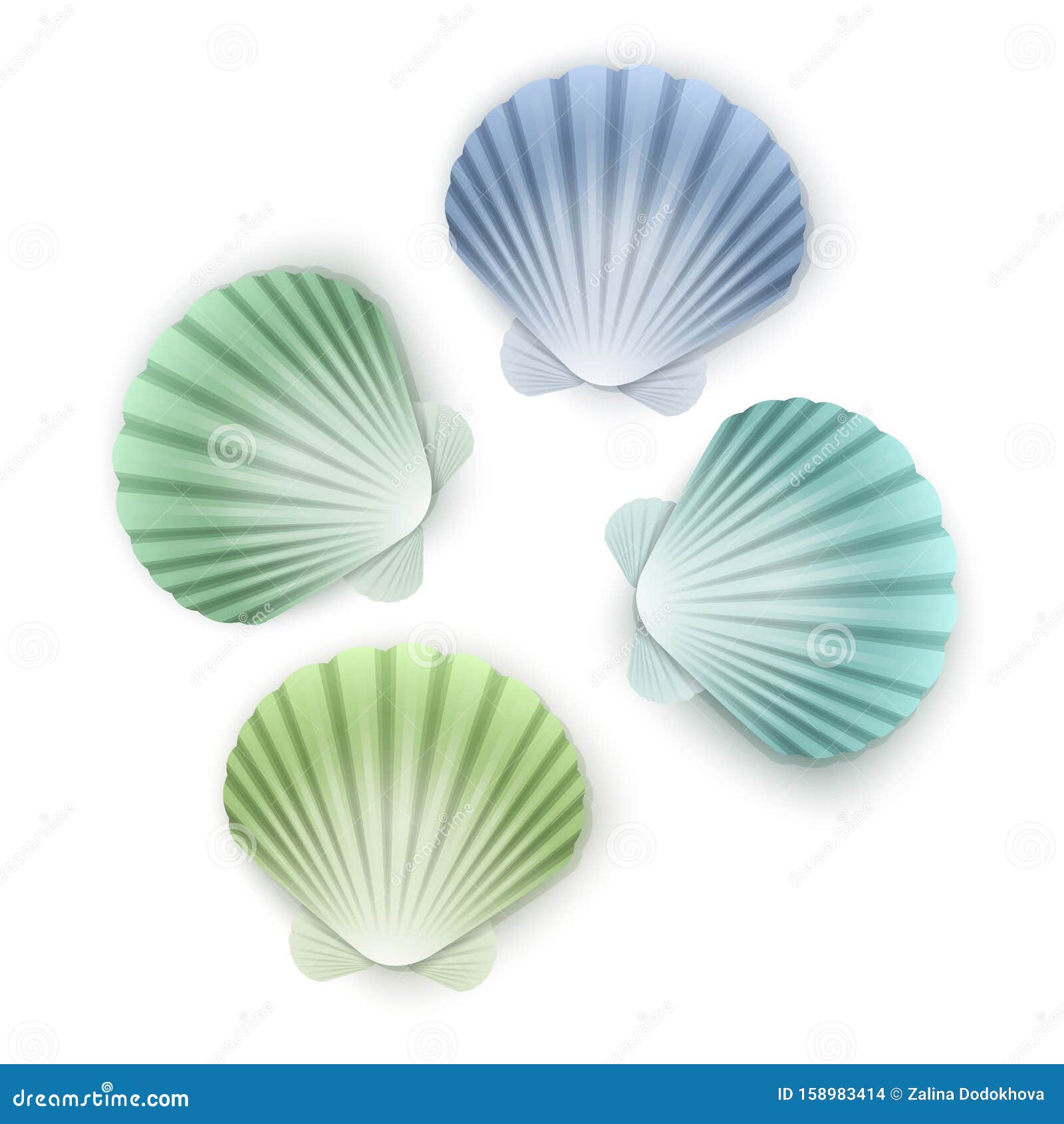 Set of Scallop Seashells, Vector Seashells of Cartoon Style ...