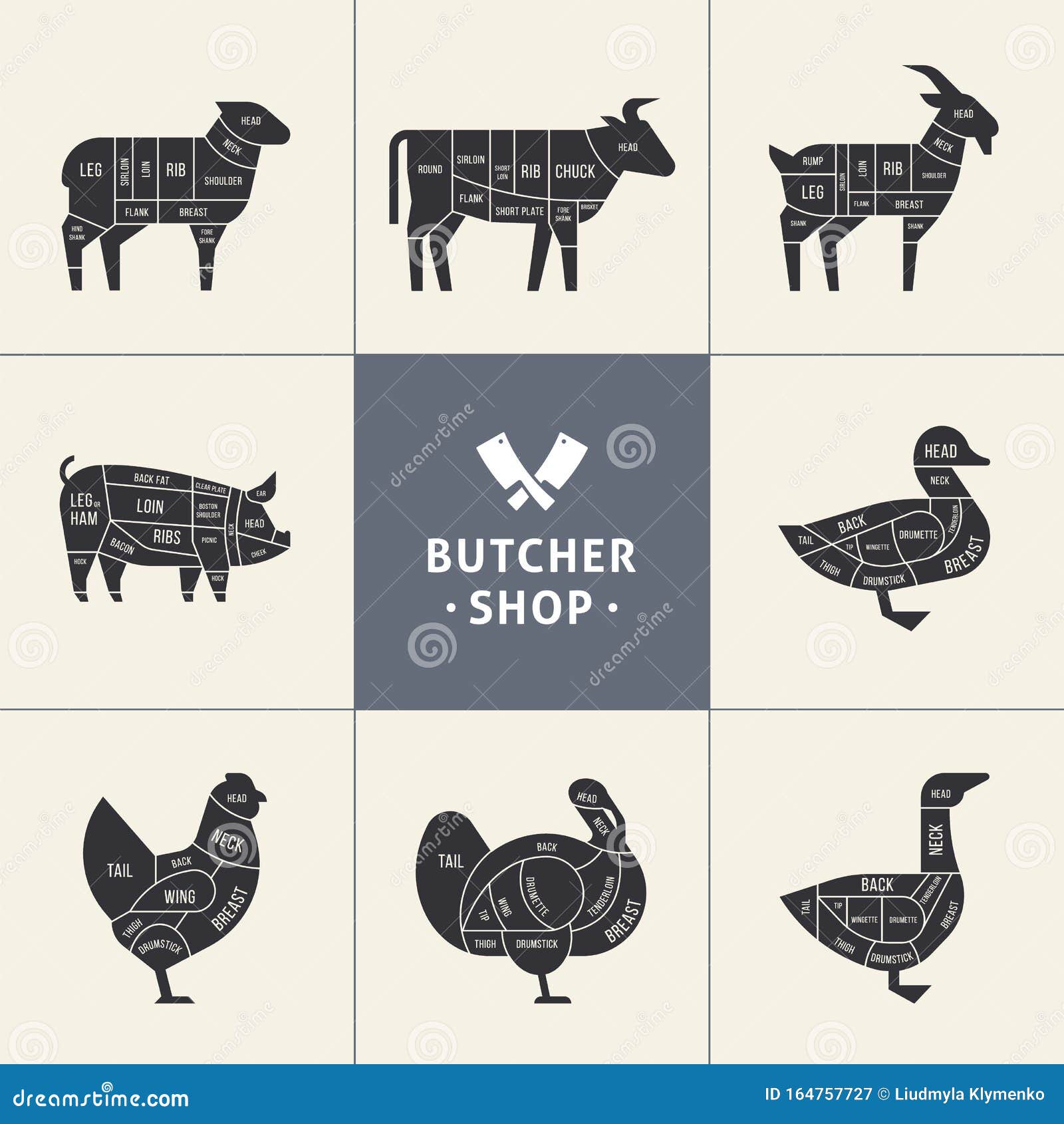 Schematic Chicken Egg Anatomy Stock Vector Illustration, Is Marked Thin ... Schematic Chicken Egg Anatomy Stock Vector Illustration, Is Marked Thin ...