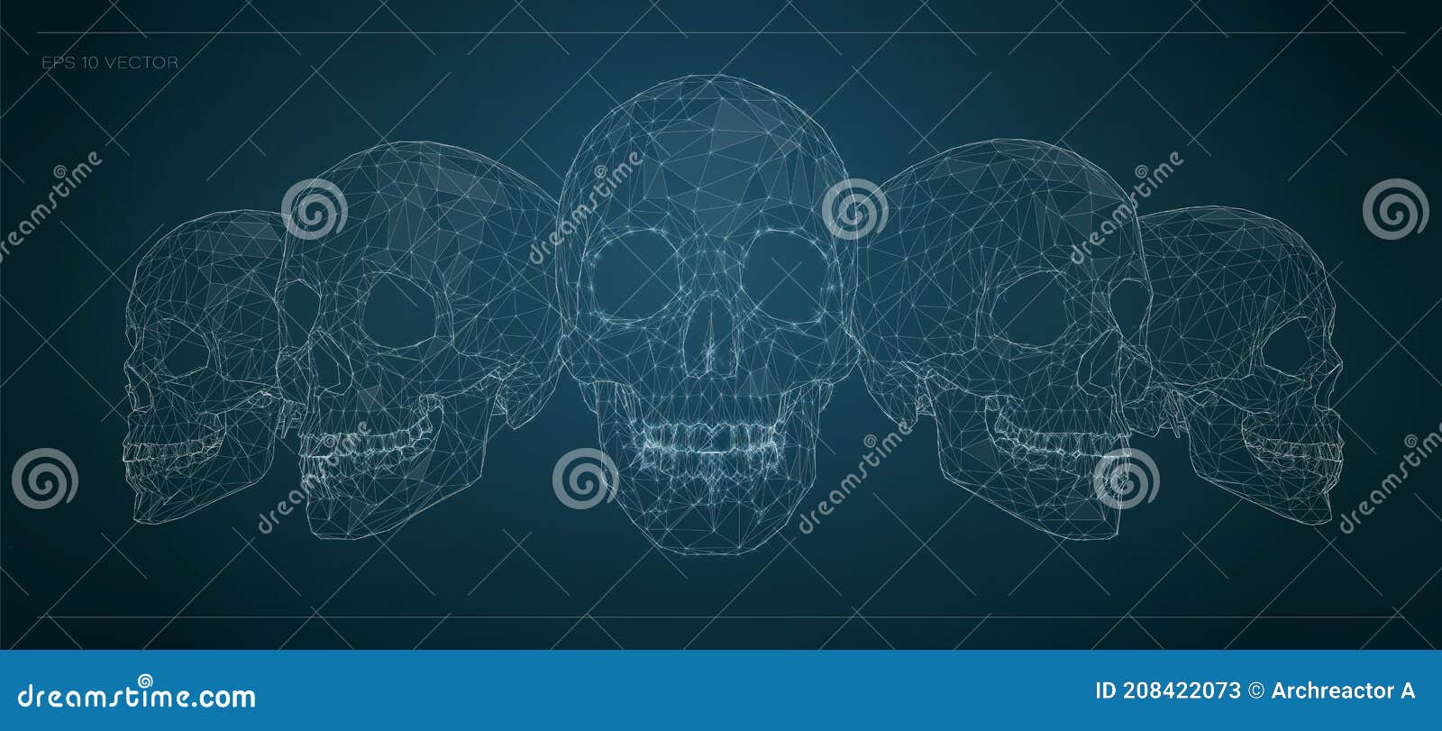 Set of Sculls. Low Poly Vector Illustration of a Mesh . Illustration ...