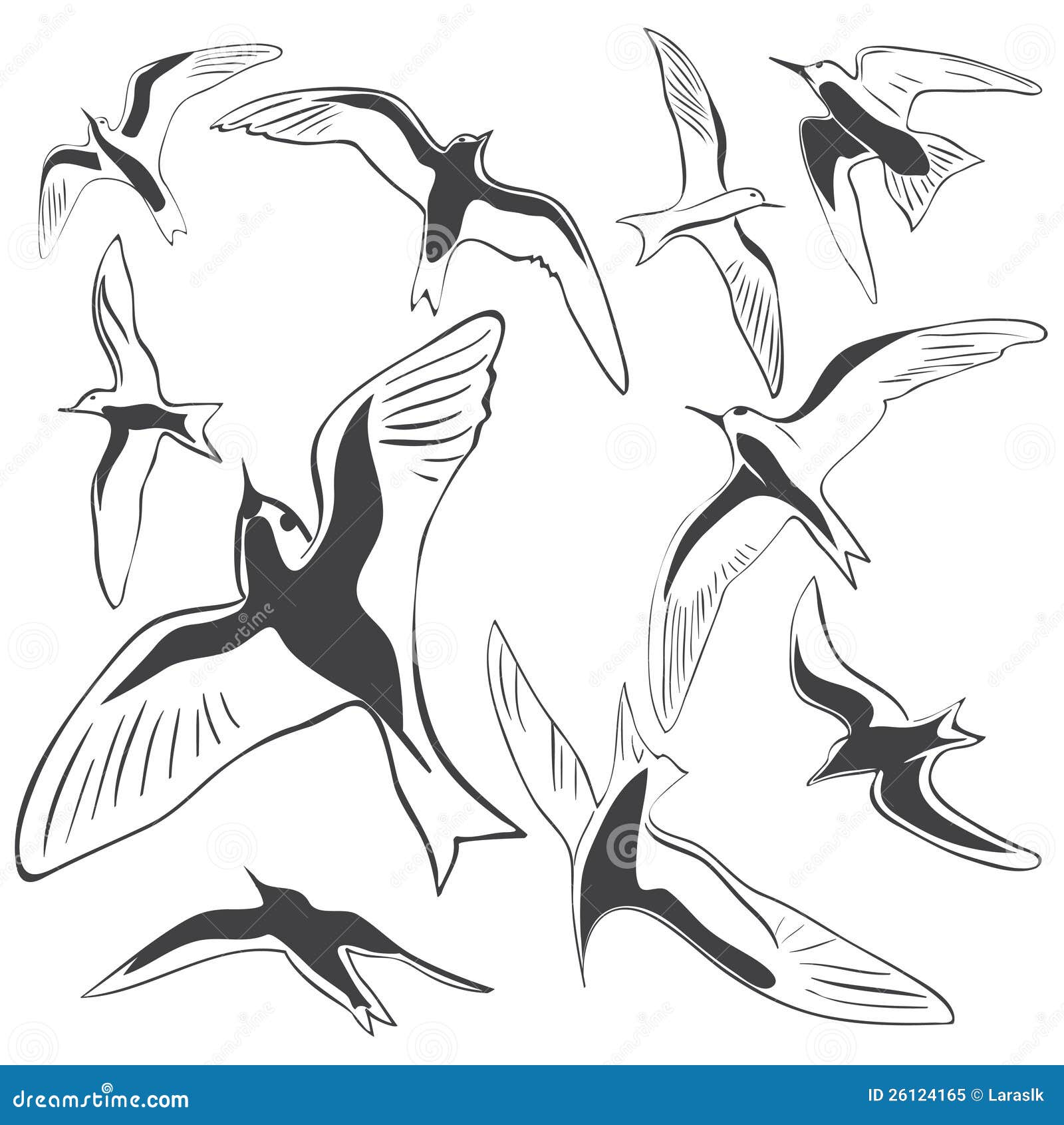 Set of Sea Birds stock vector. Illustration of beak, isolated - 26124165