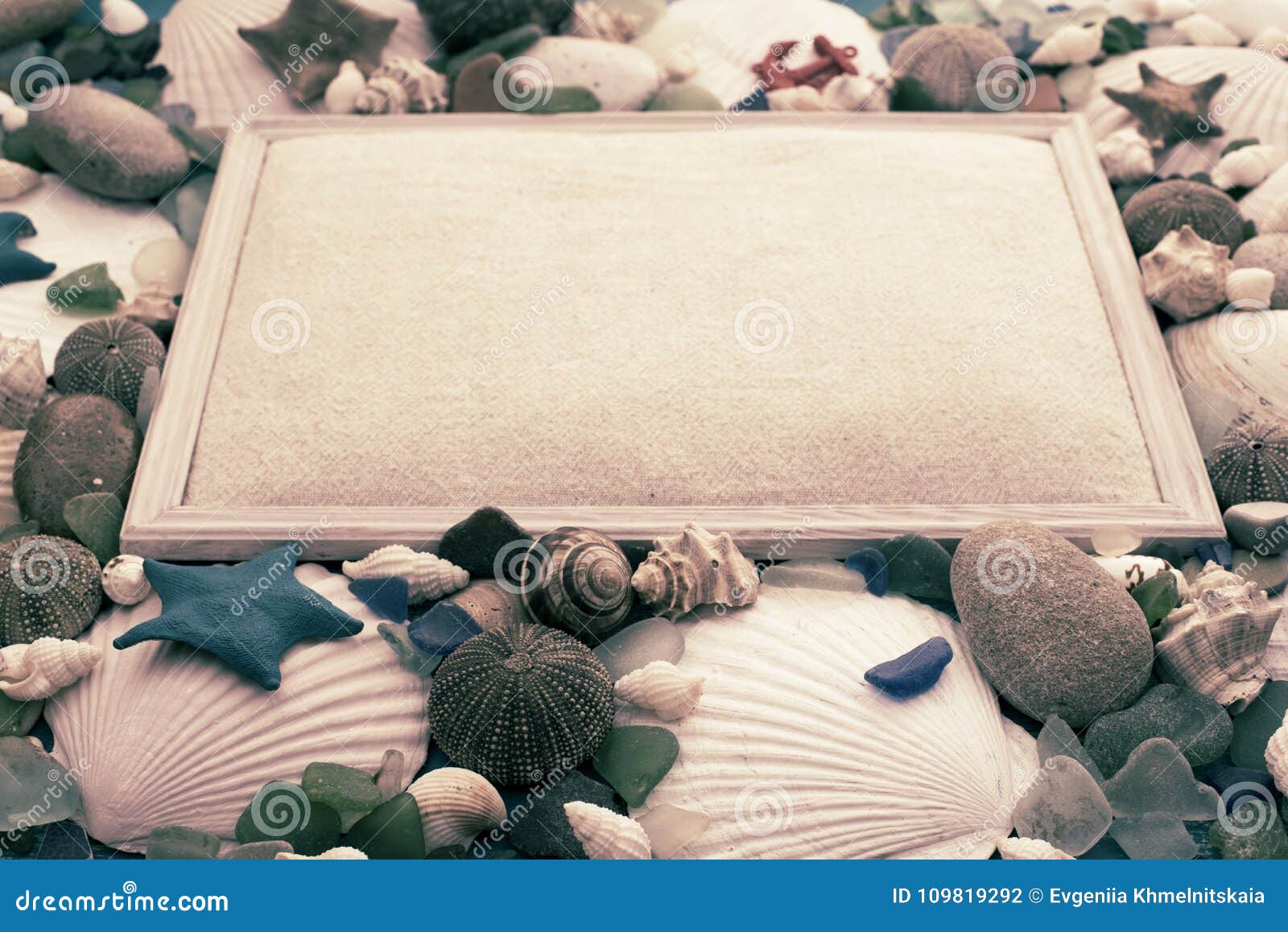 Set Sea Shell Decorative Frame Place for Text. Stock Photo - Image of ...