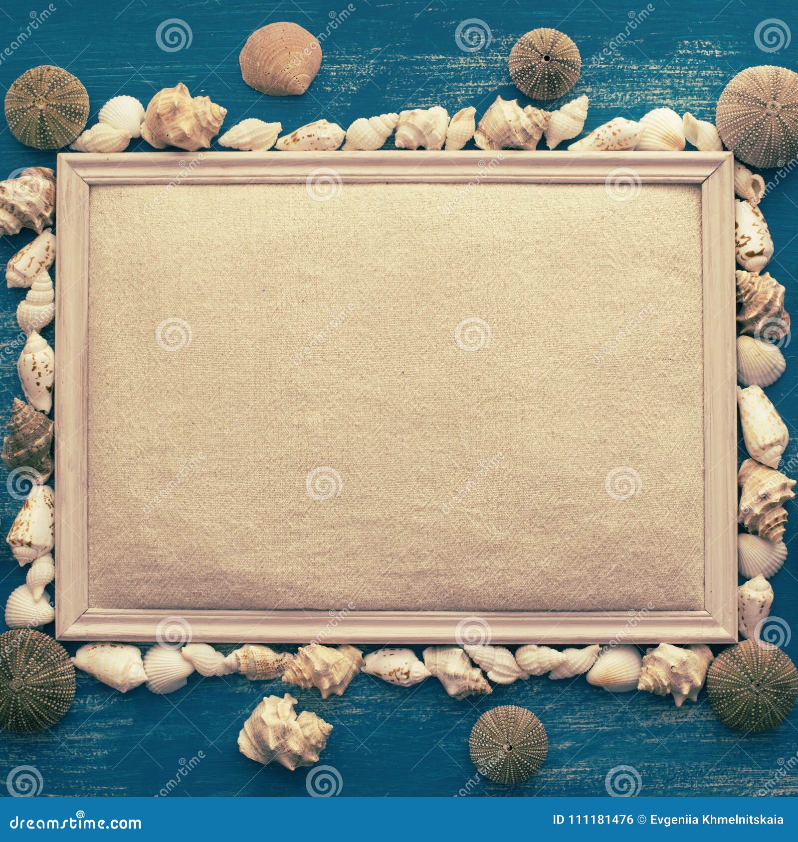 Set Sea Shell Decorative Frame Place for Text. Stock Photo - Image of ...