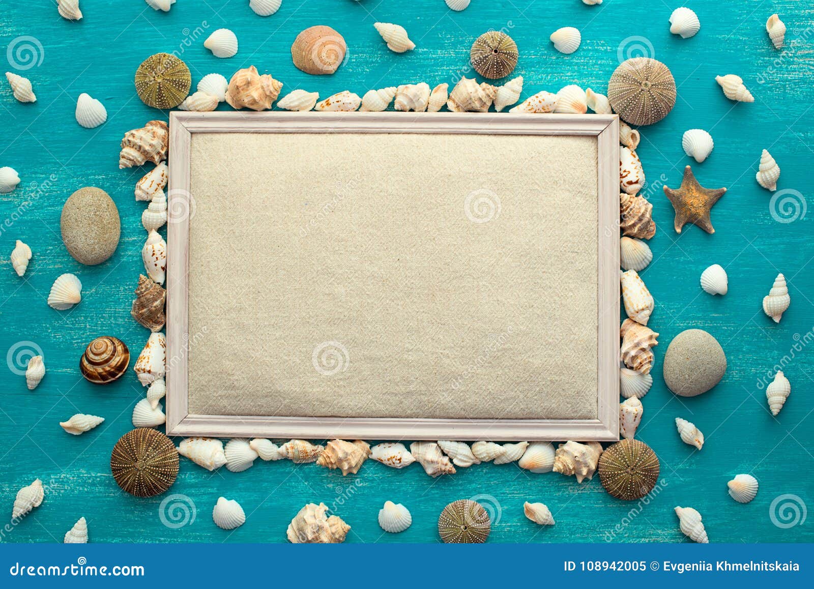 Set Sea Shell Decorative Frame Place for Text. Stock Image - Image of ...
