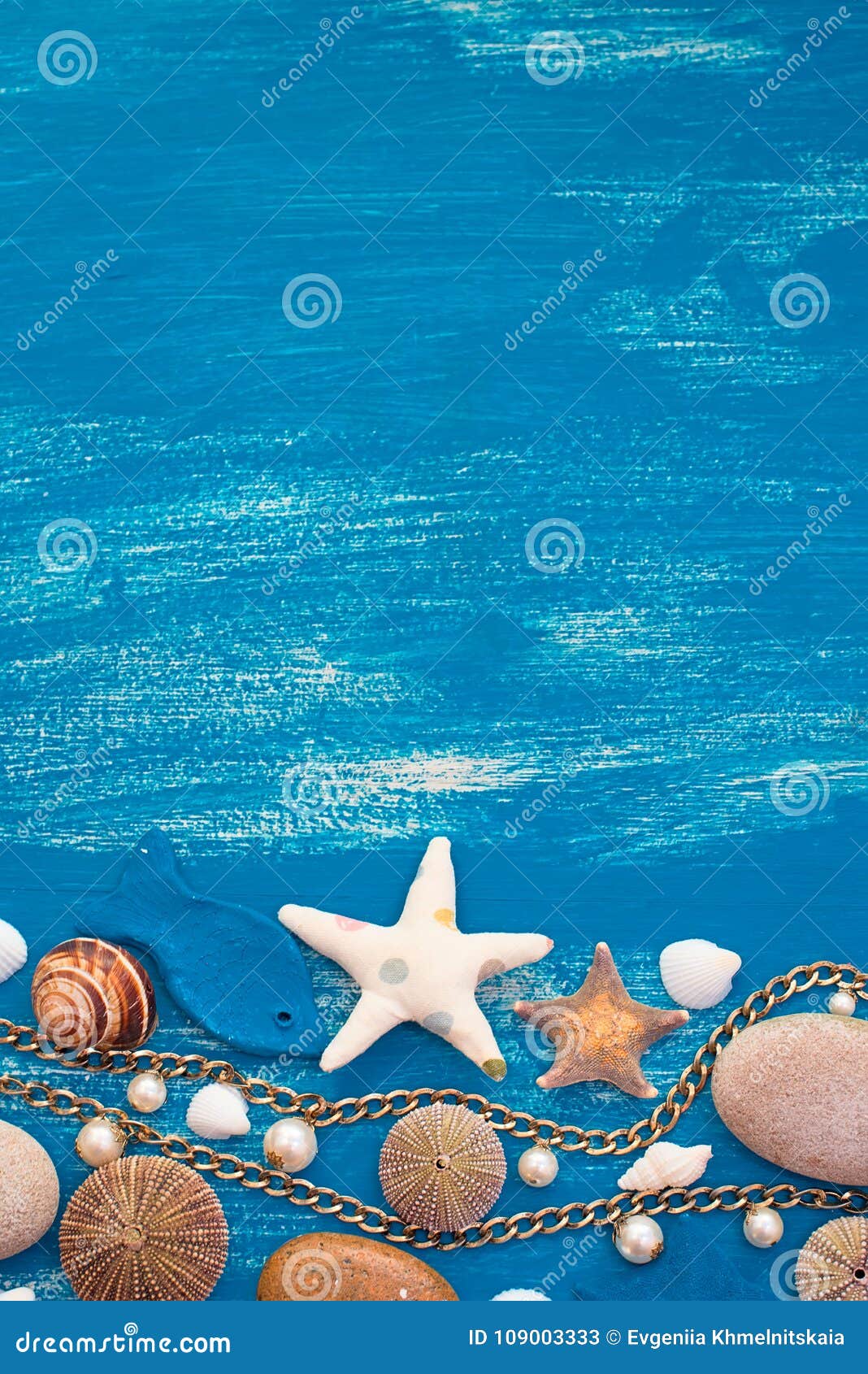 Set Sea Shell Decorative Frame Place for Text. Stock Image - Image of ...