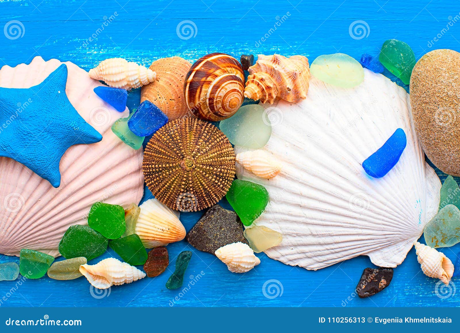 Set Sea Shell Decorative Frame Place for Text. Stock Image - Image of ...