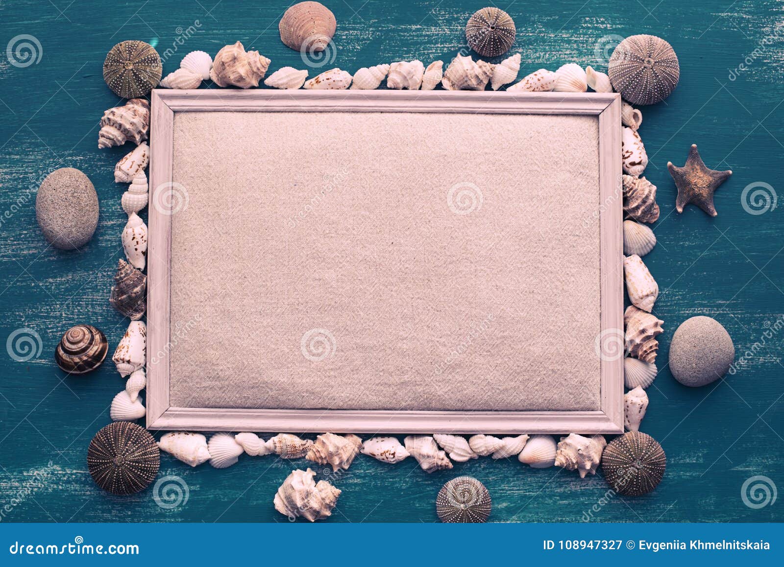 Set Sea Shell Decorative Frame Place for Text. Stock Image - Image of ...