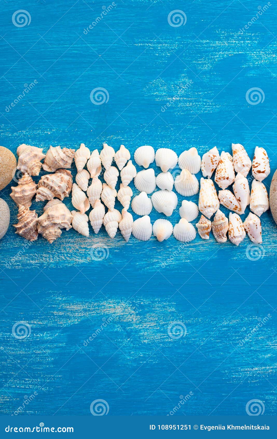 Set Sea Shell Decorative Frame Place for Text. Stock Image - Image of ...