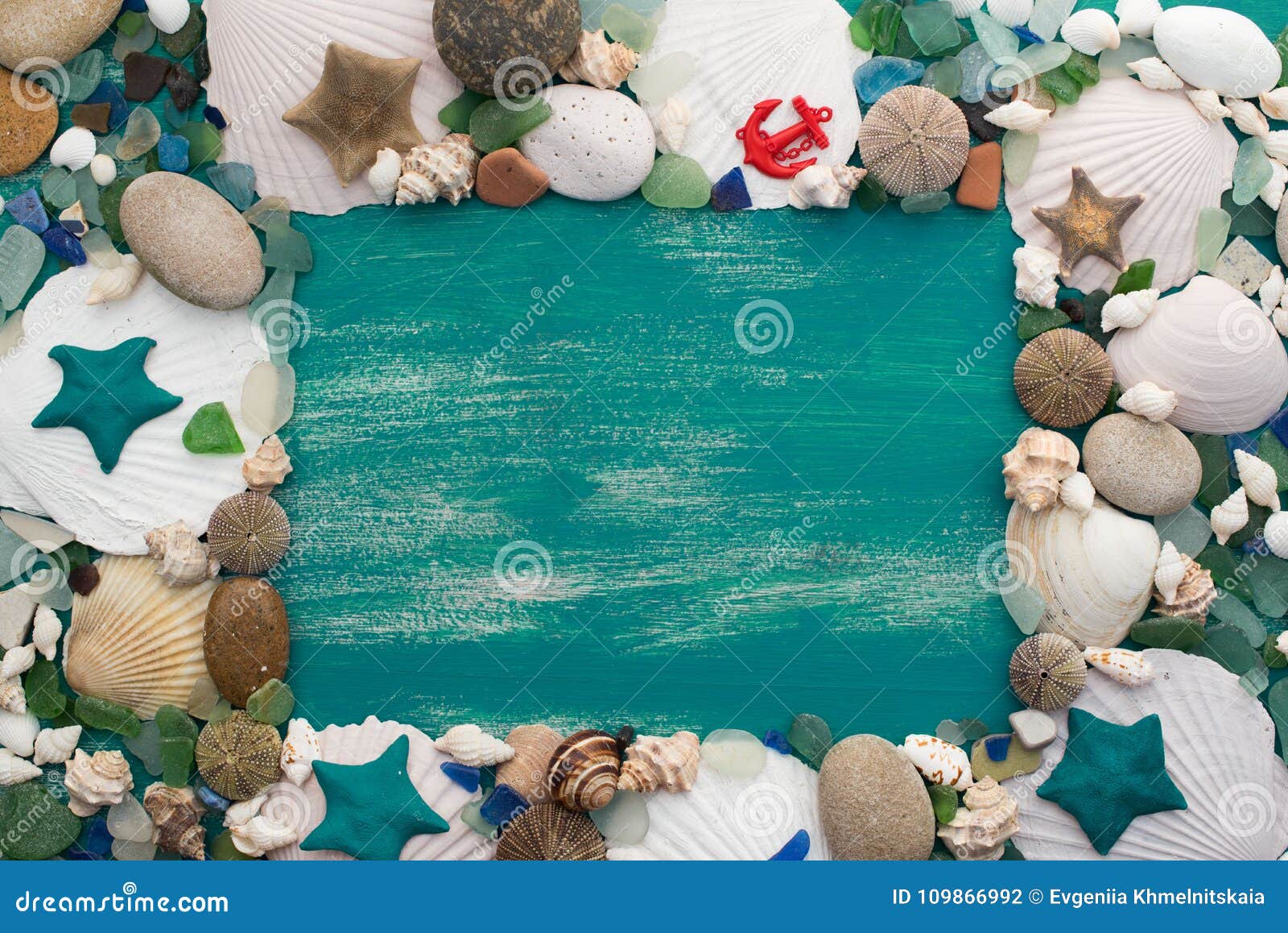 Set Sea Shell Decorative Frame Place for Text. Stock Photo - Image of ...