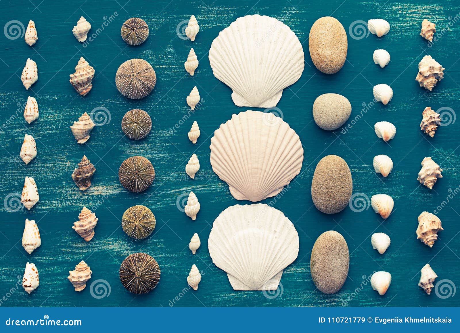 Set Sea Shell Decorative Frame Place for Text. Stock Image - Image of ...