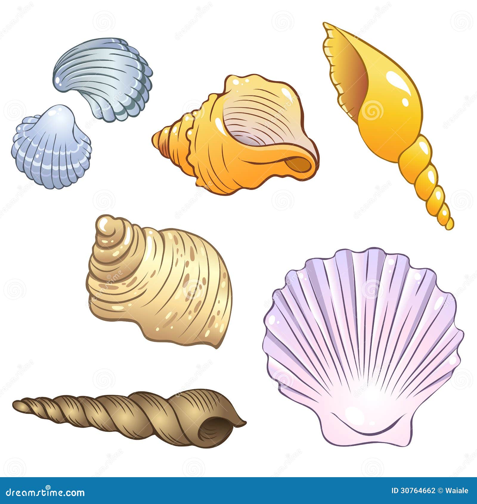 Set of sea shells stock vector. Illustration of climate - 30764662