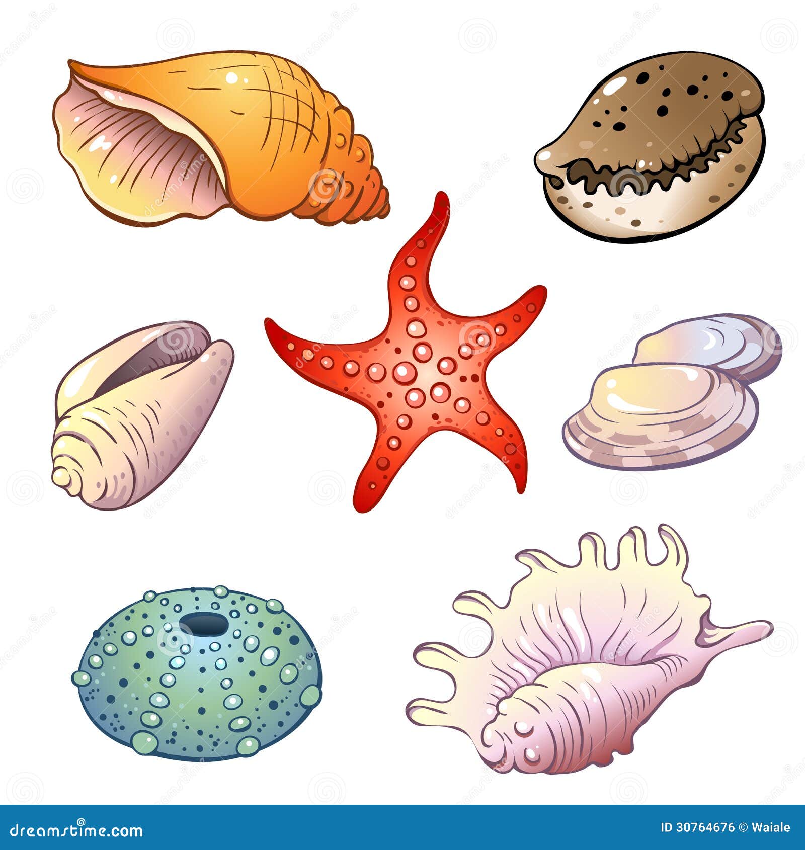 Sea Shell Cartoon