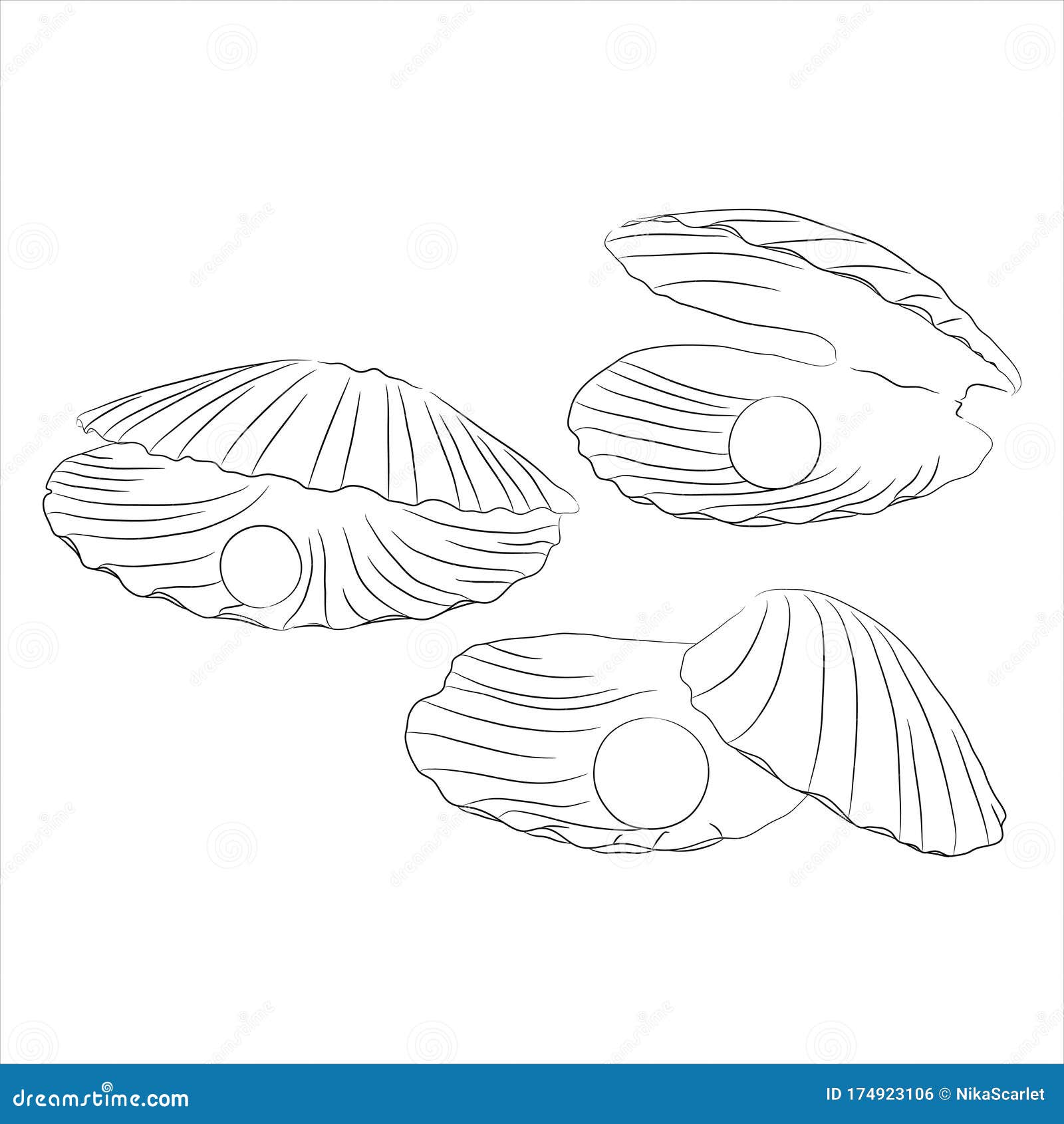 Set of sea shells sketch stock vector. Illustration of marine - 174923106