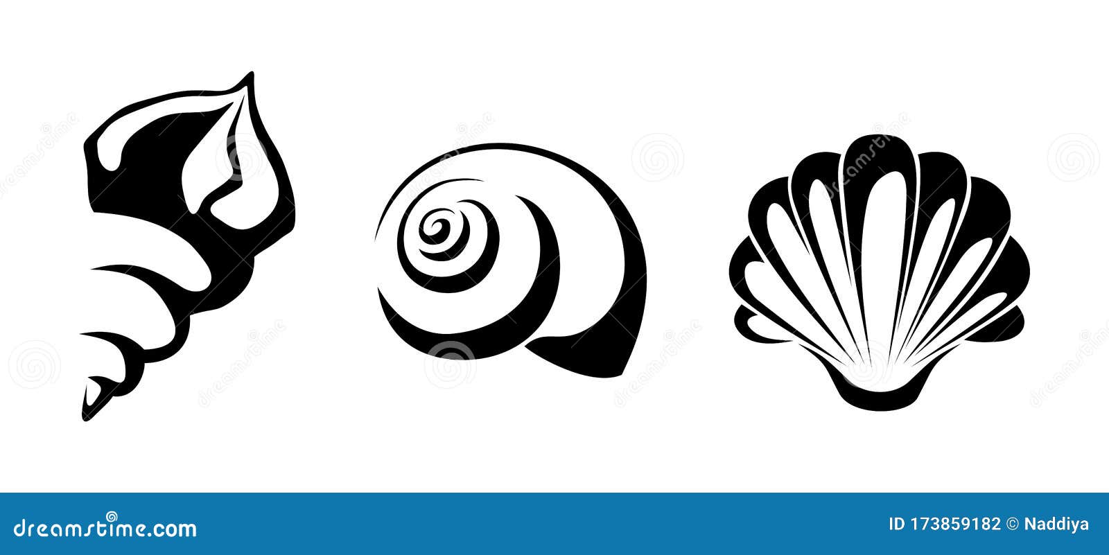 Conch Shell Silhouette