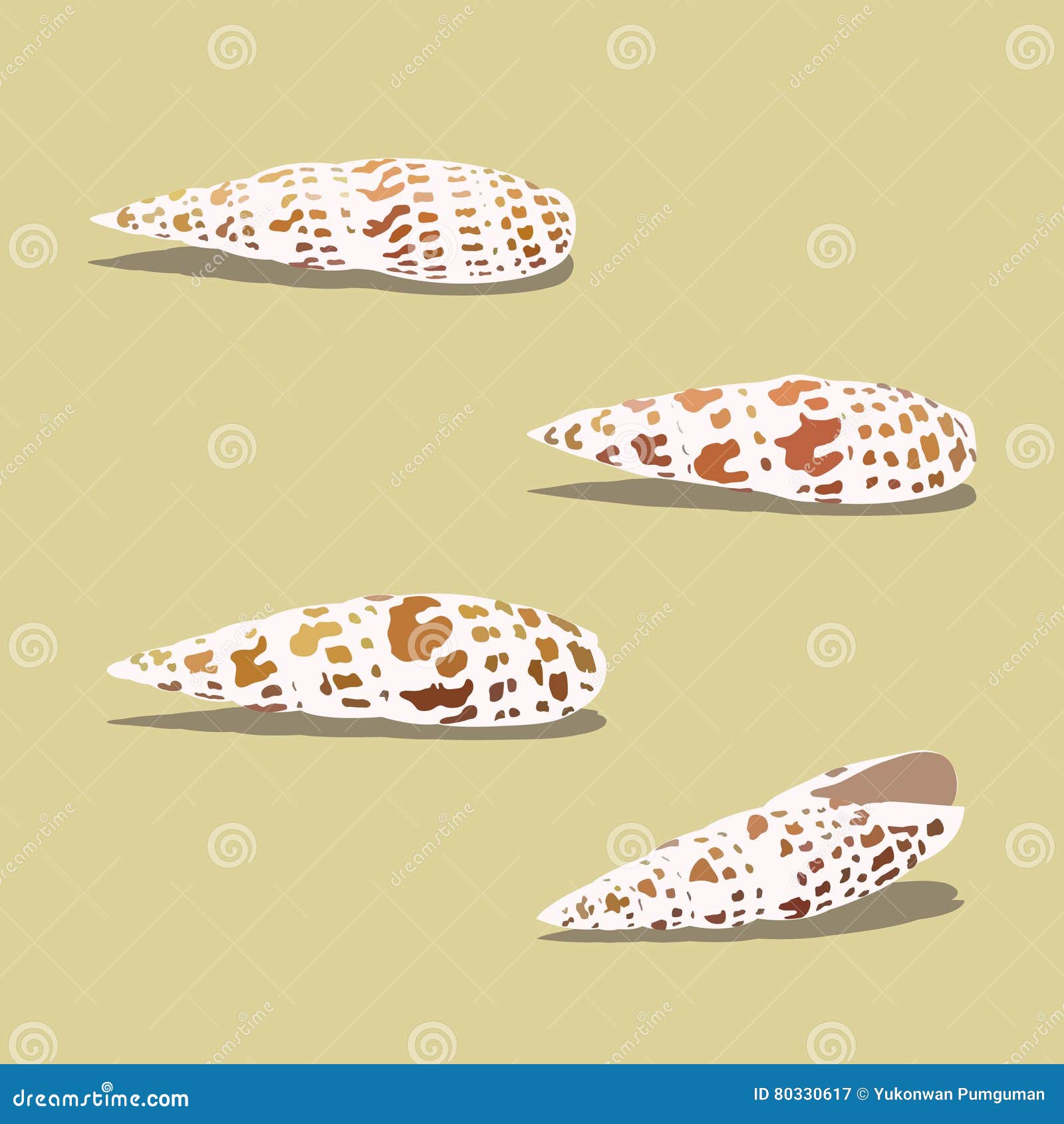 Set Of Sea Shells Vector Illustration, Isolate Marine Life ...